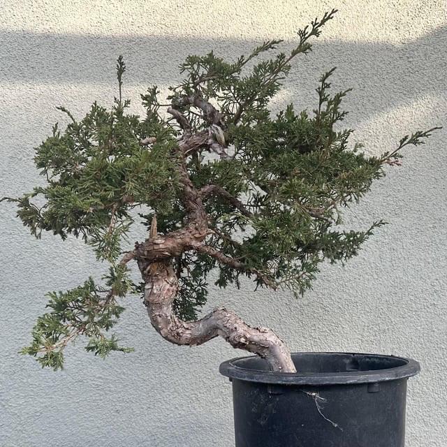 Itoigawa progression | Scrolller