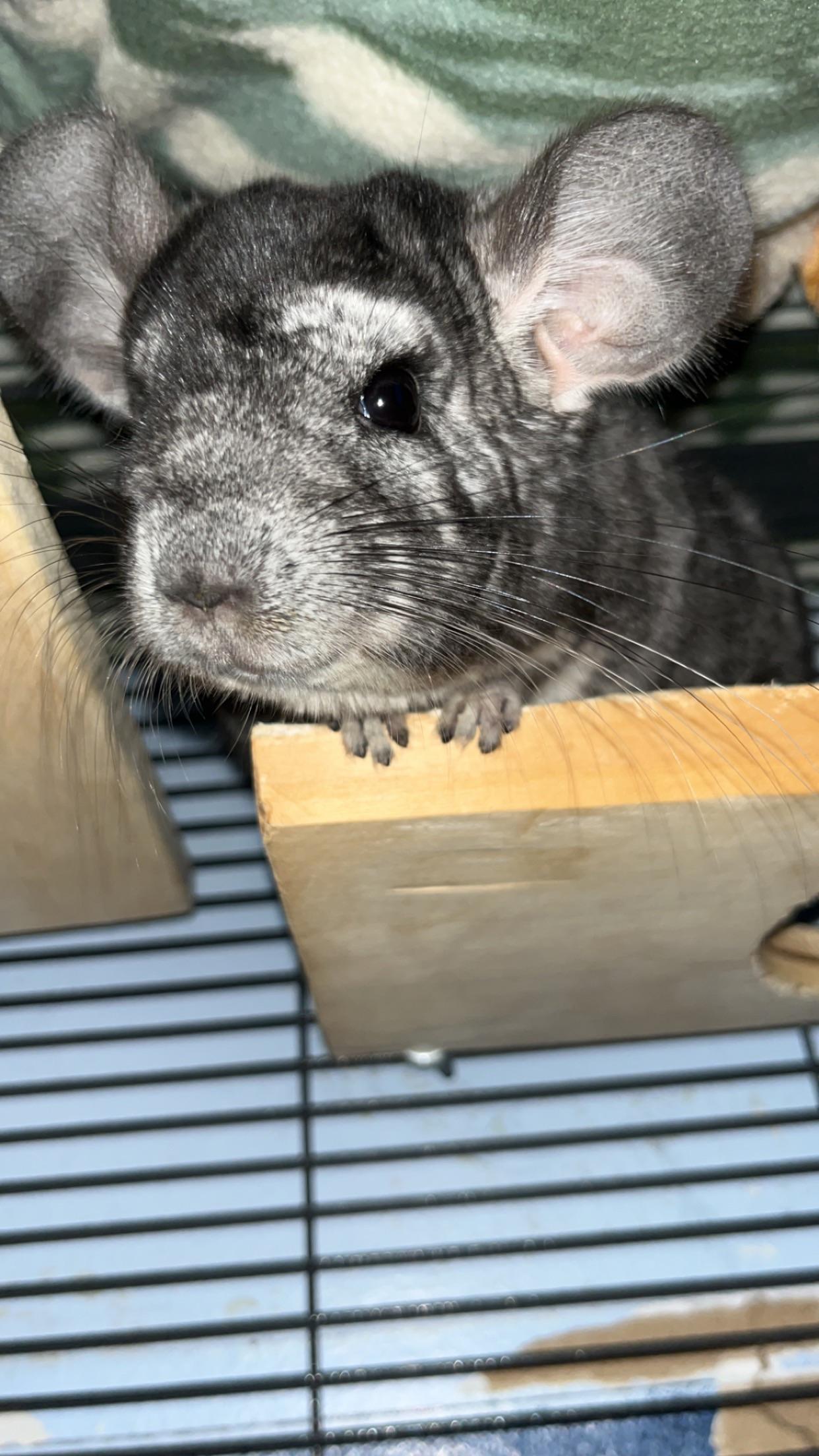 Upstate NY | Scrolller