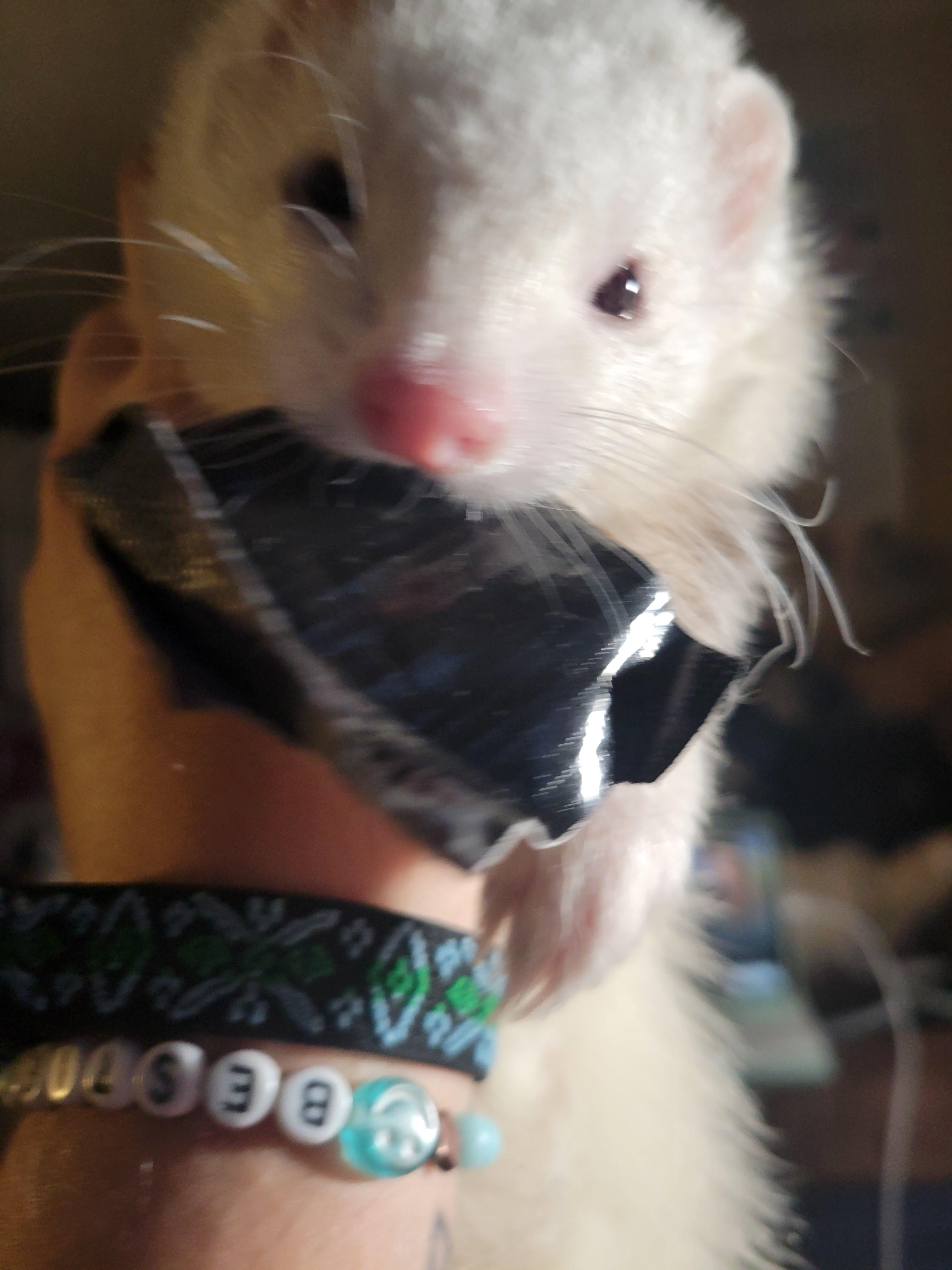 Out of all her toys, she's mad that I took the duct tape piece... | Scrolller