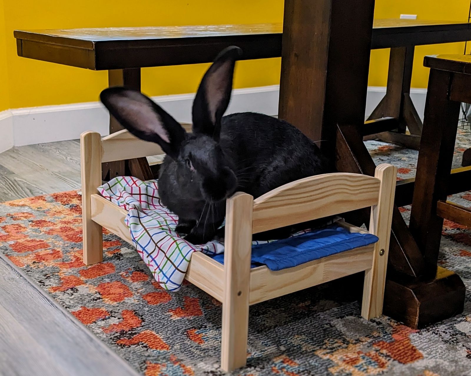 Goofy Sleeper | Scrolller