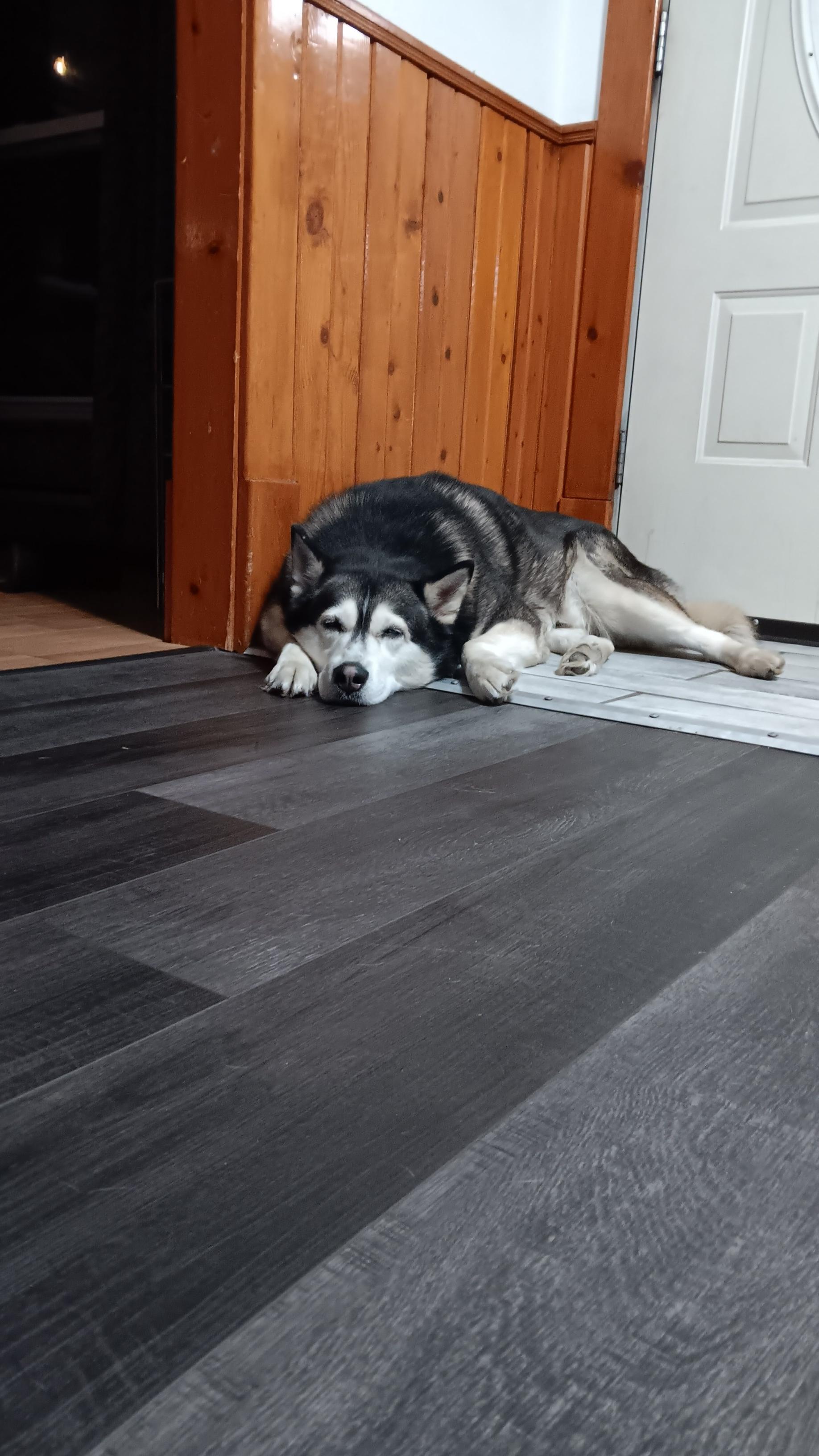 He loves his corner | Scrolller