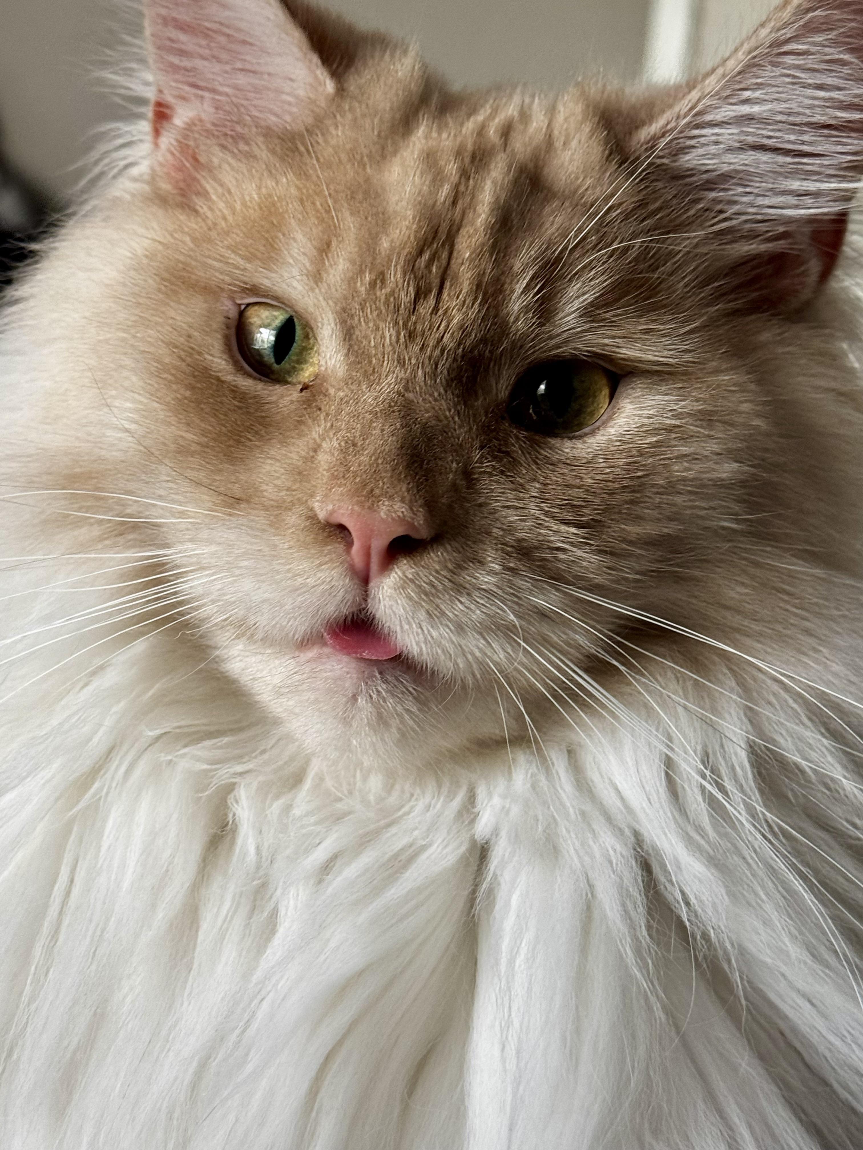 Not one neuron firing today. | Scrolller