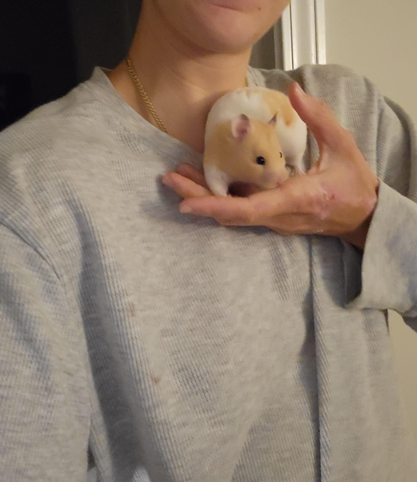 Reccomendation Request | Scrolller