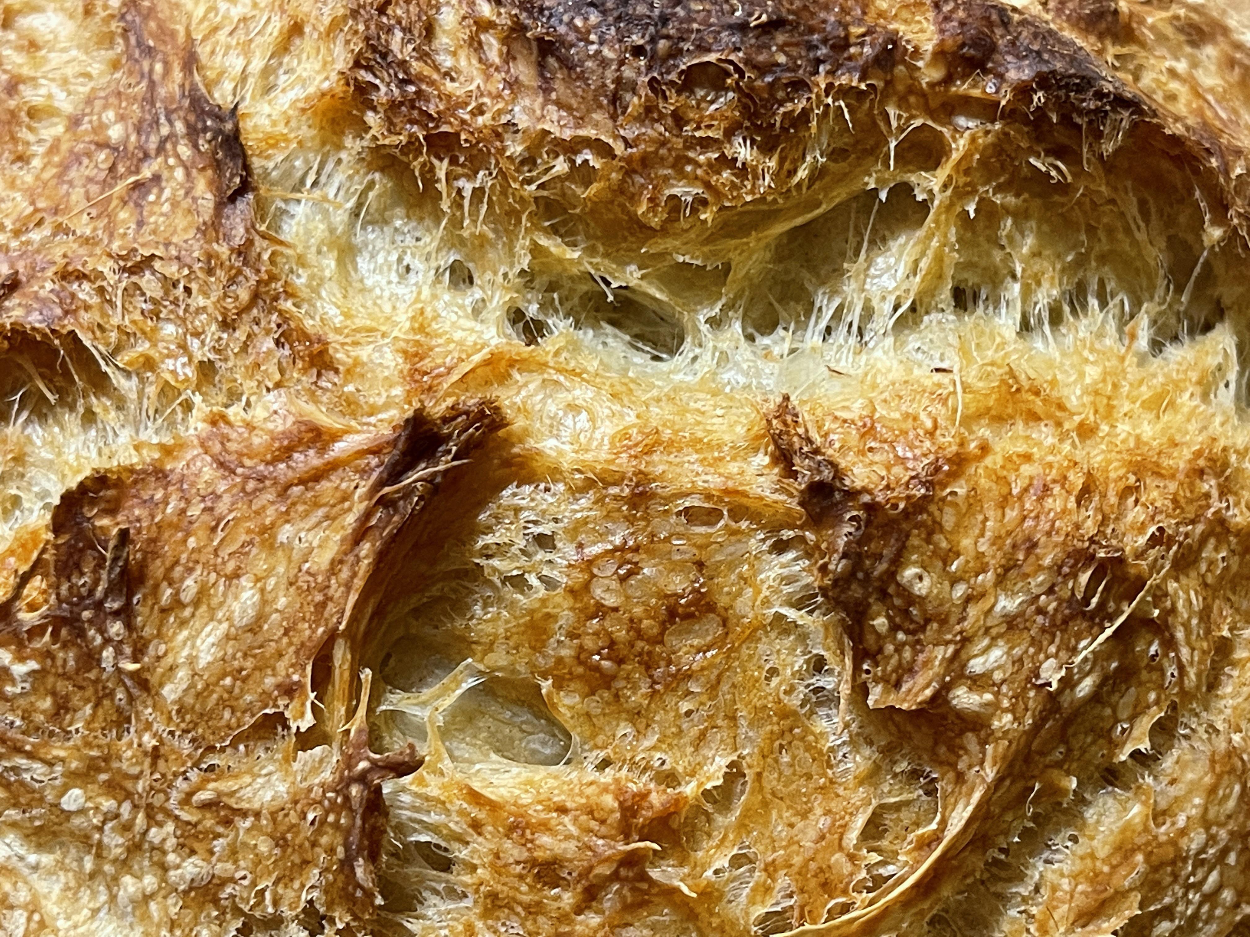 My first success!! | Scrolller