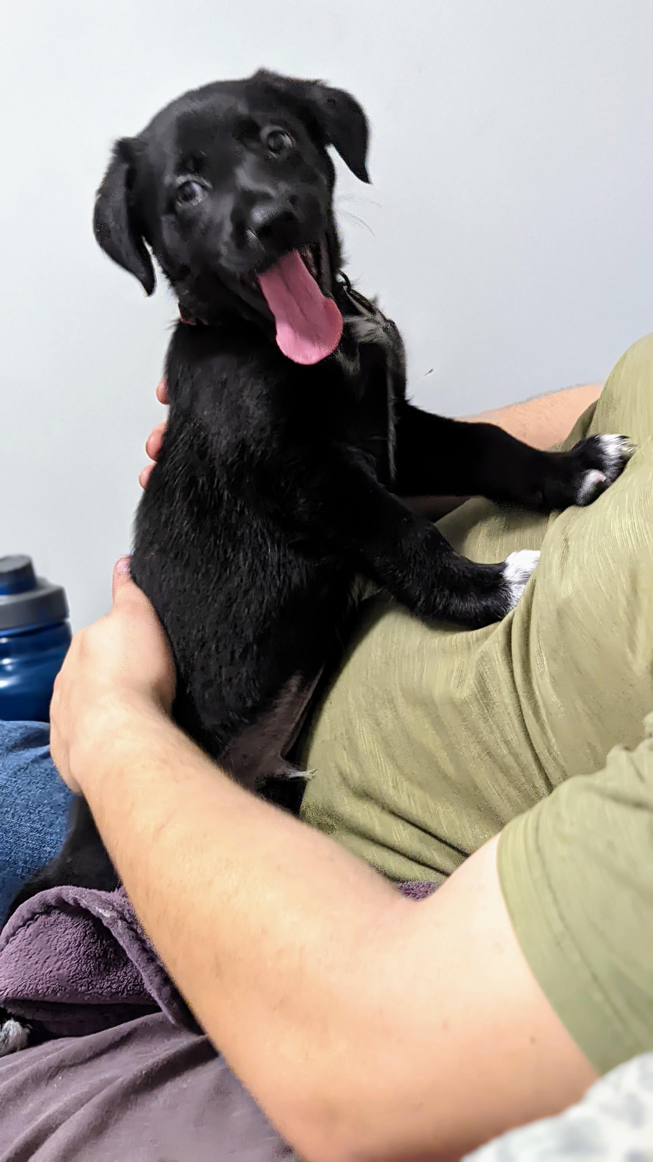 Update: Dio is now a big boy | Scrolller