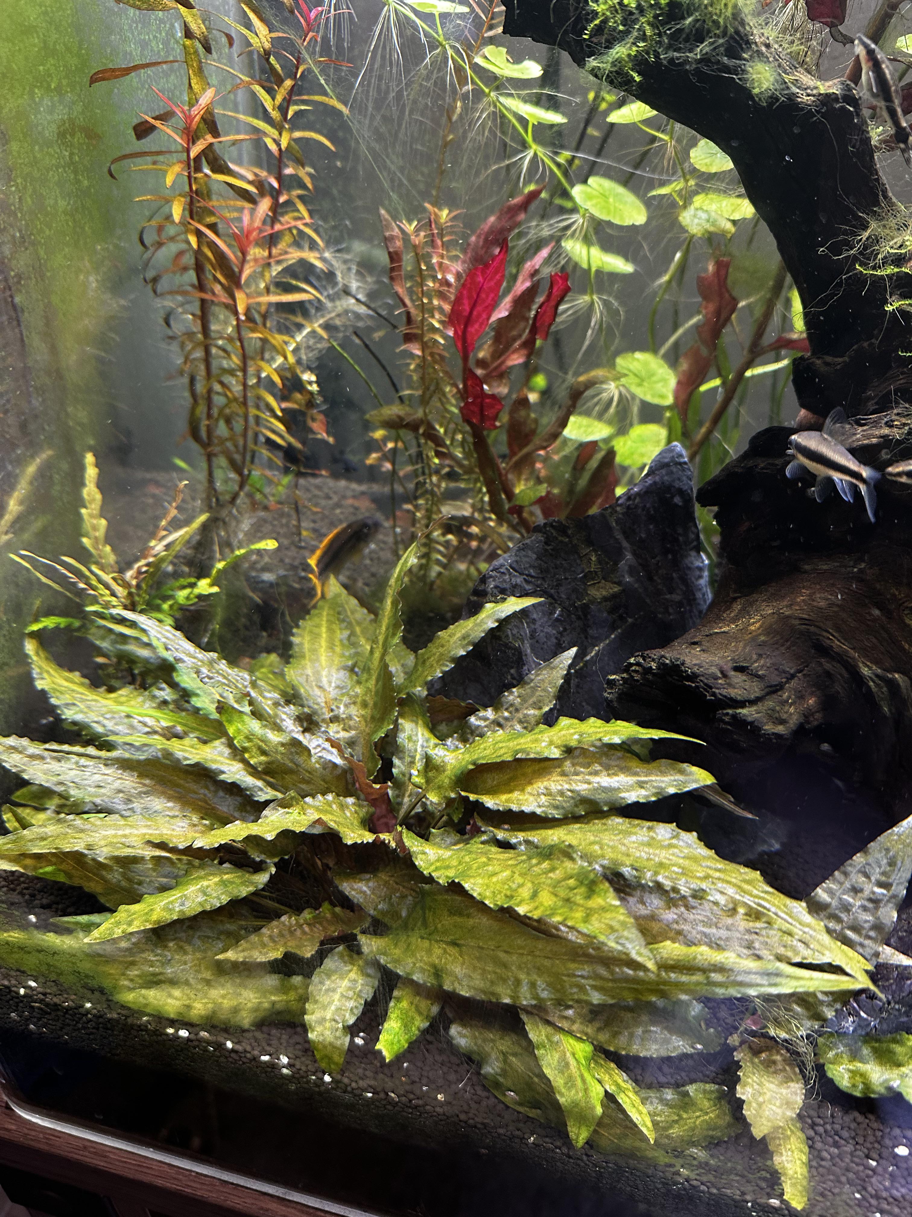 My giant Crypt aka the Cory hangout spot. | Scrolller