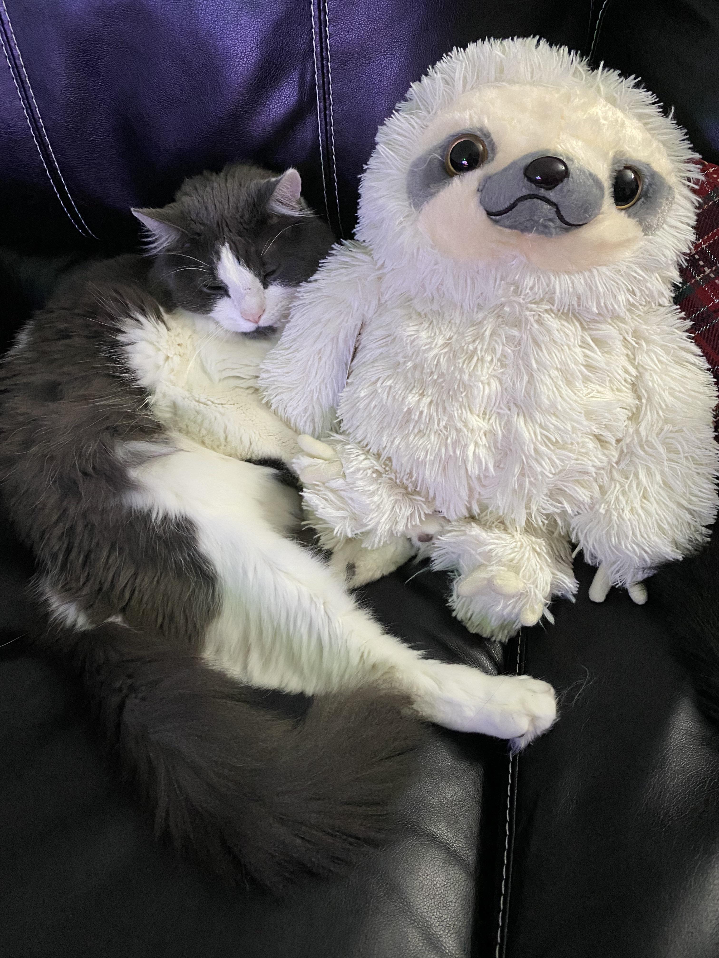 Pals til the end … this warms my heart 🥹 | Scrolller