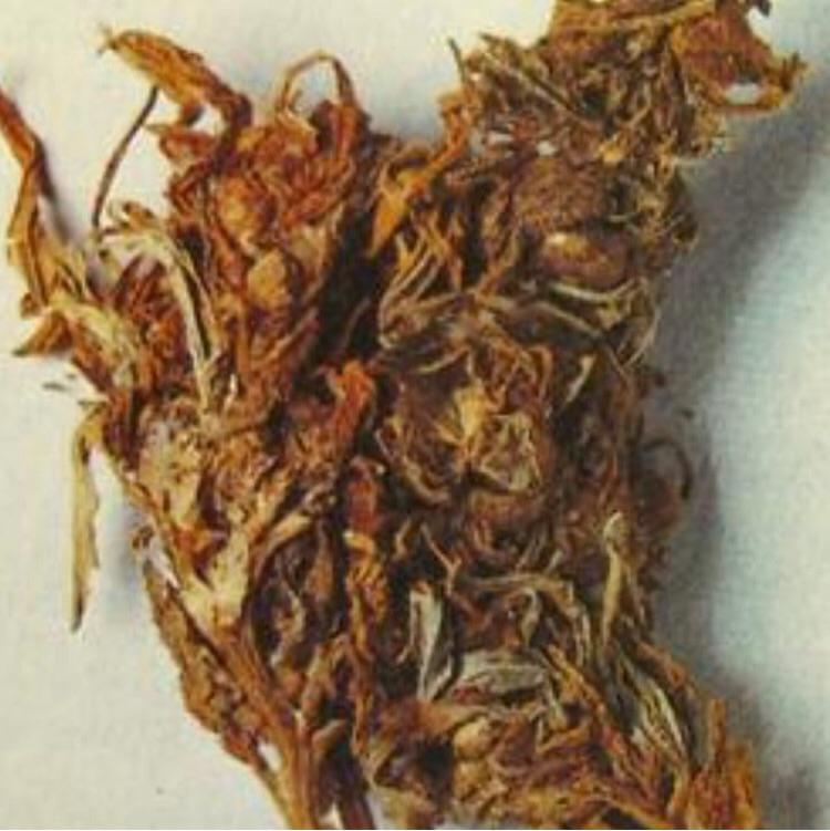 Panama Red 1982 | Scrolller