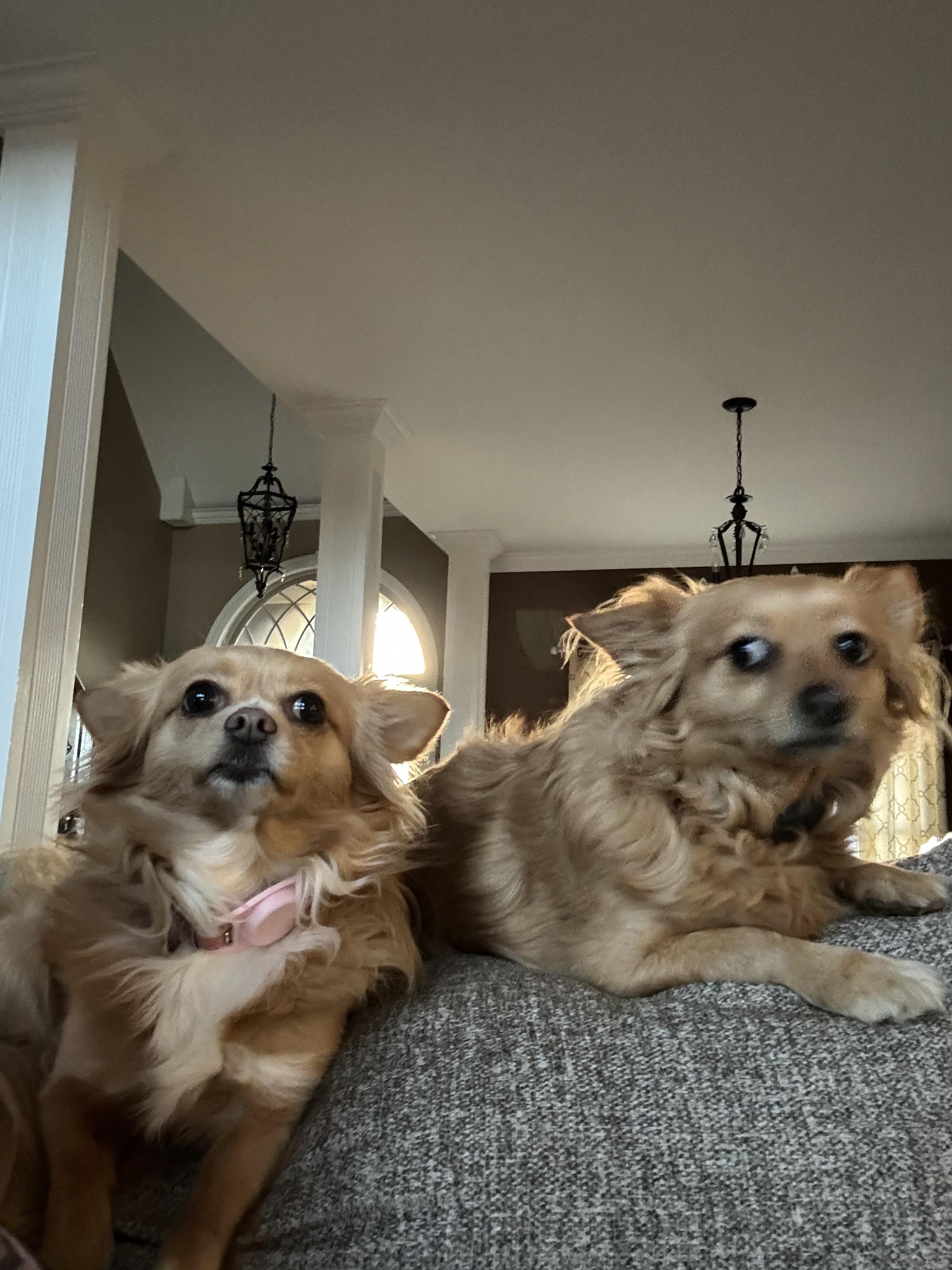 Show me your besties | Scrolller