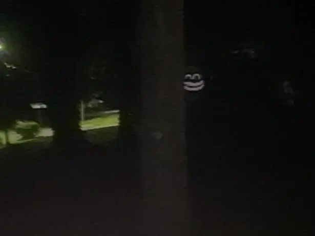 Peeping Terry | Scrolller