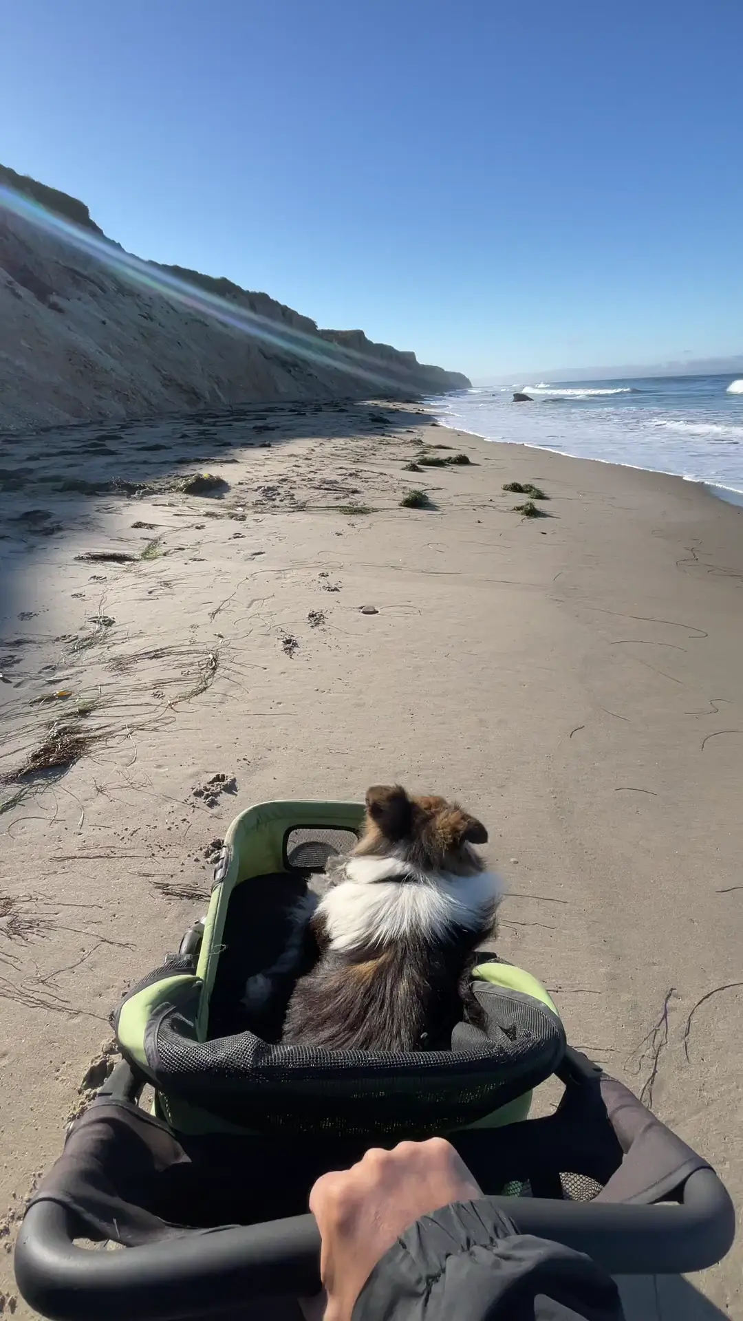 Perfect day at the beach with Prince. | Scrolller