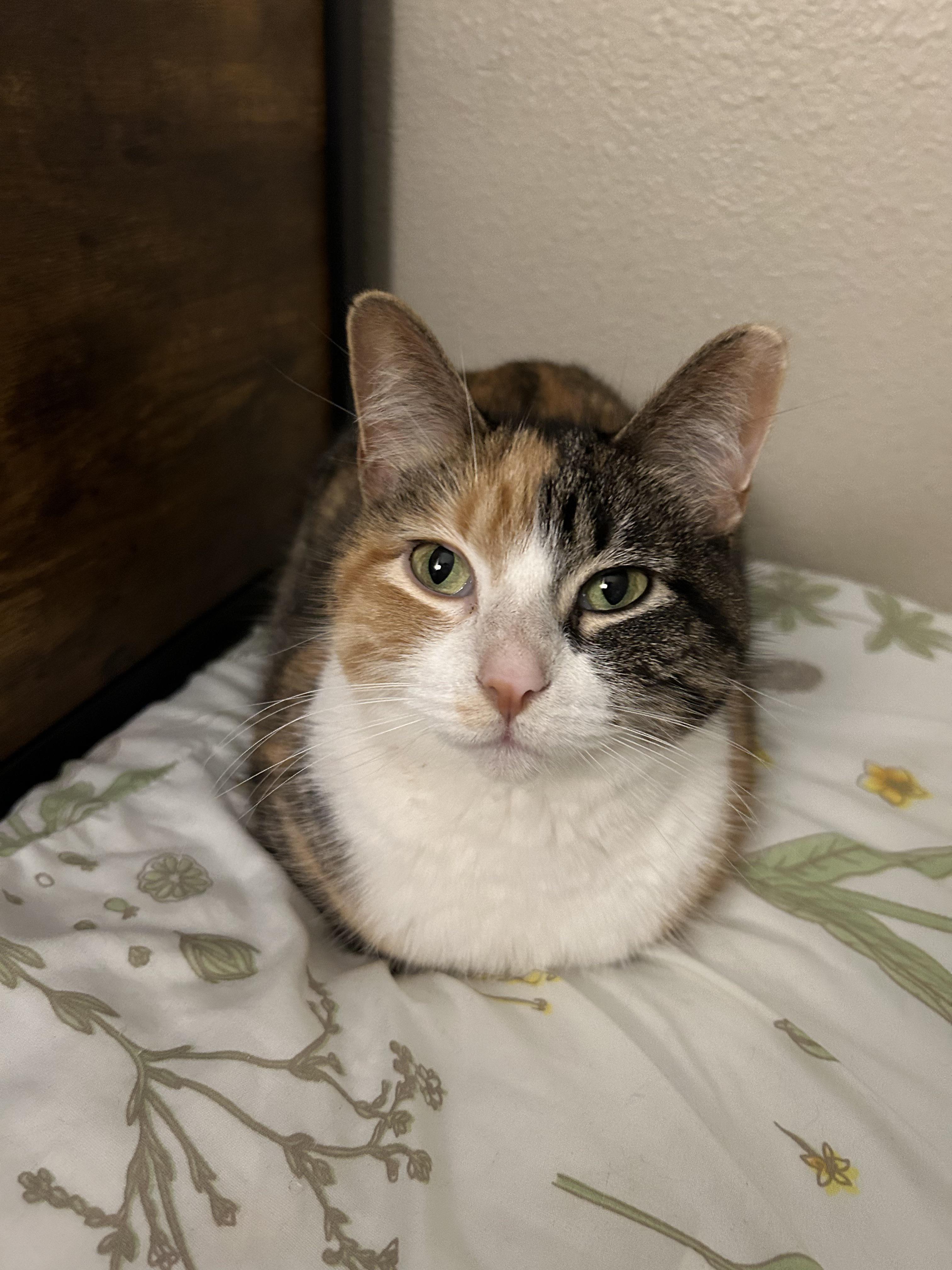 Perfect form | Scrolller