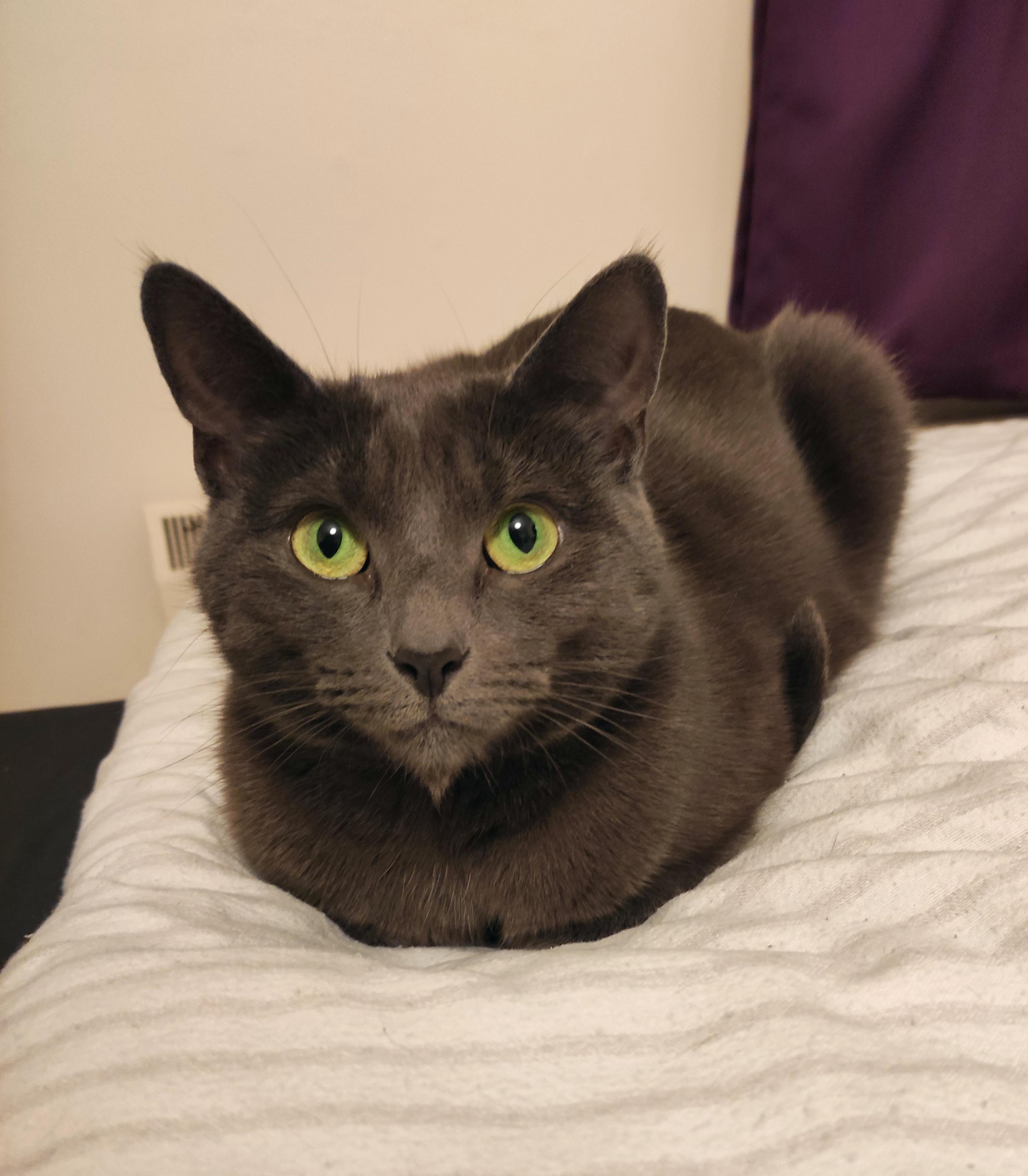 Perfect loaf | Scrolller