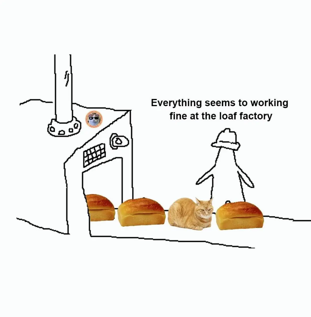 Discover more like Meme: Perfect loaf and Related Content | Scrolller
