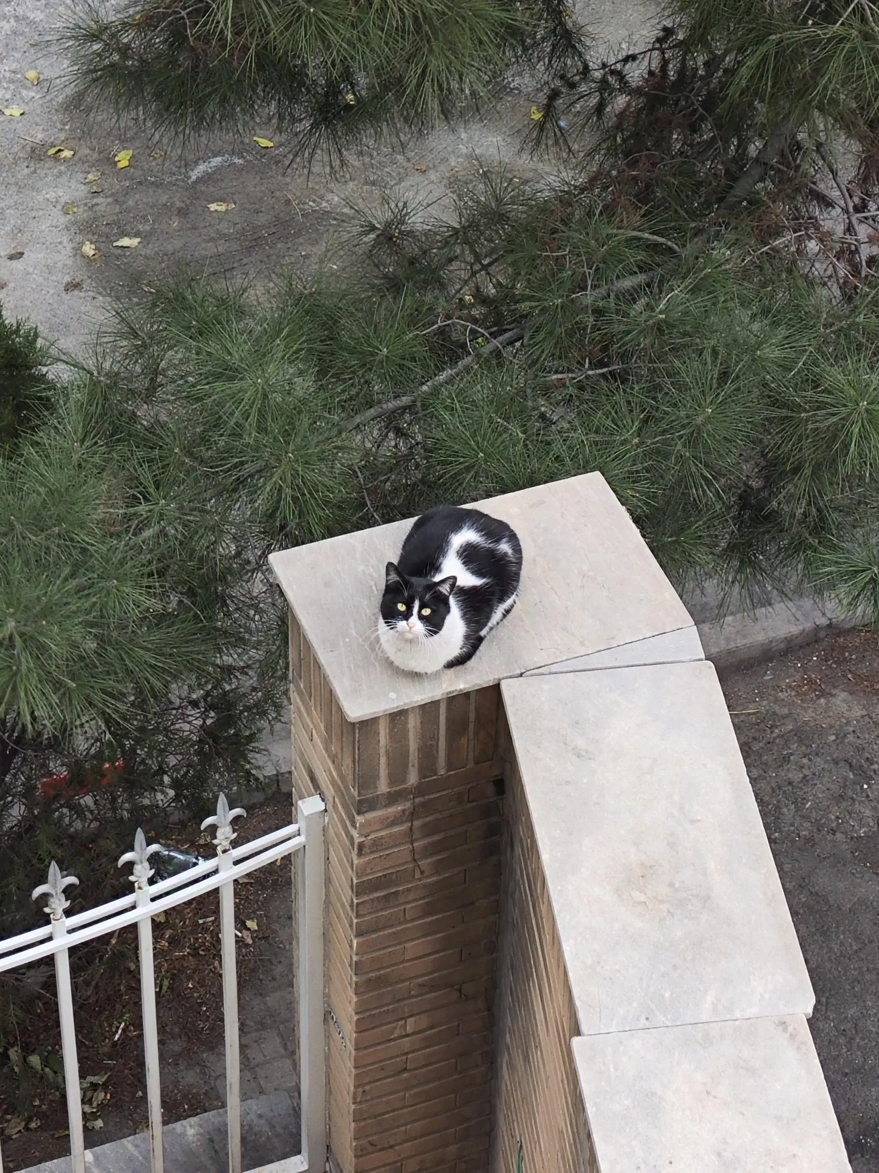 Perfect Loaf | Scrolller