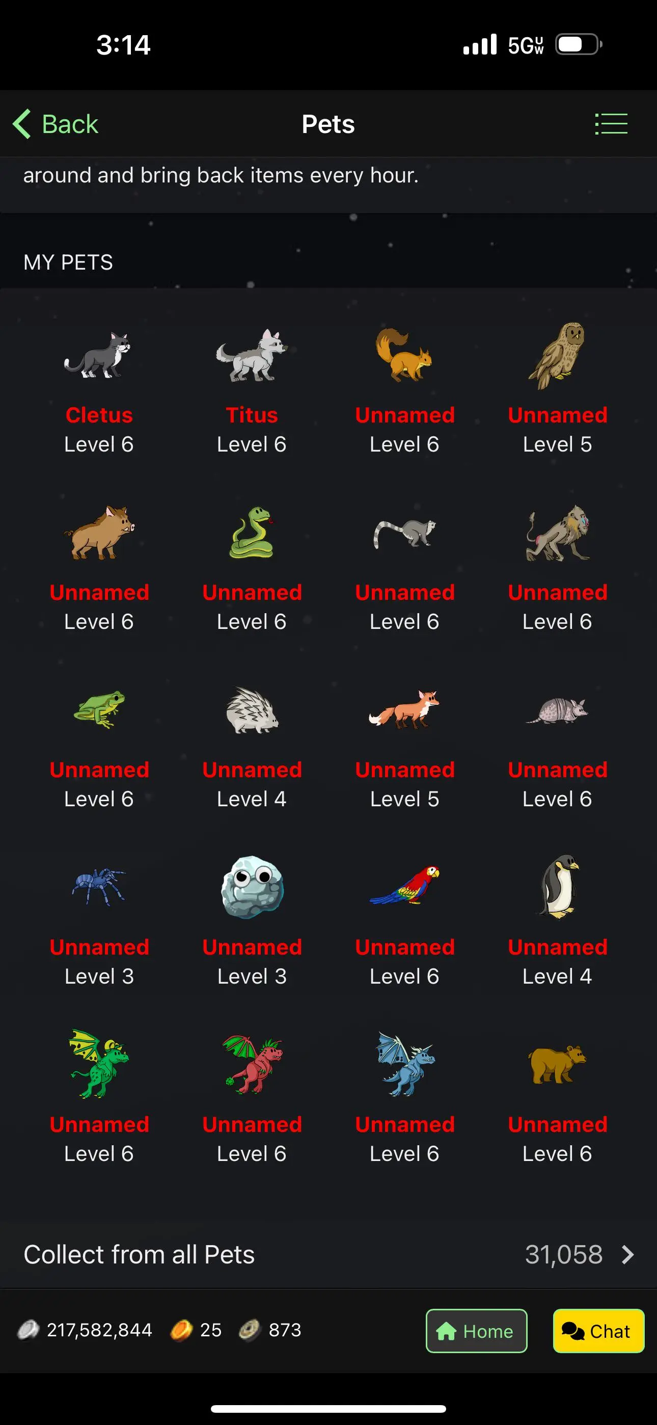 Pets / Crunchy Omolette | Scrolller