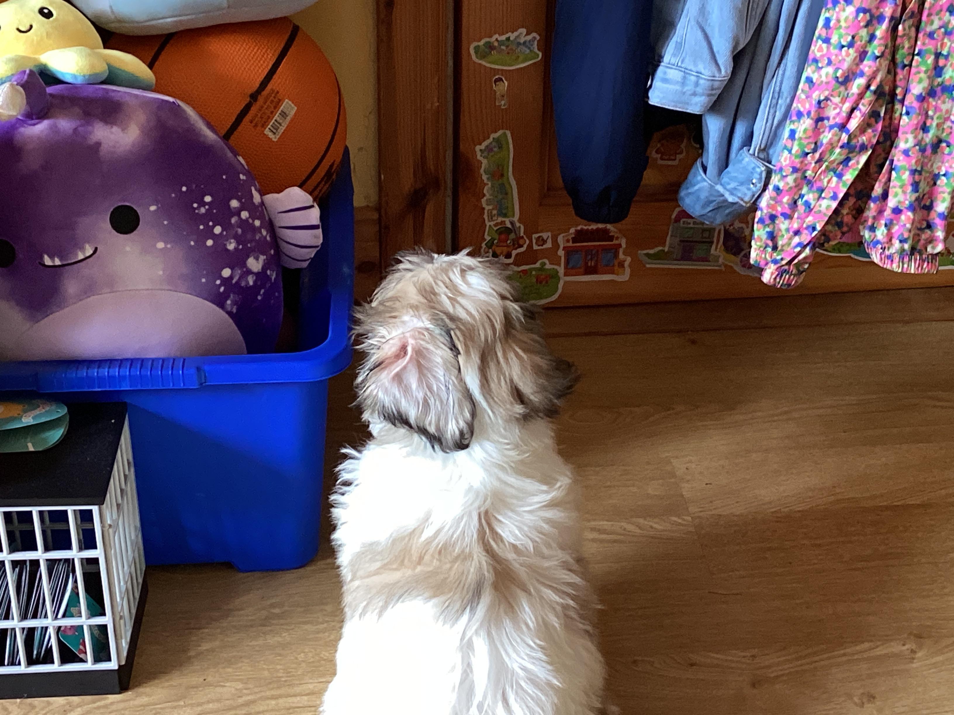 His ear! | Scrolller