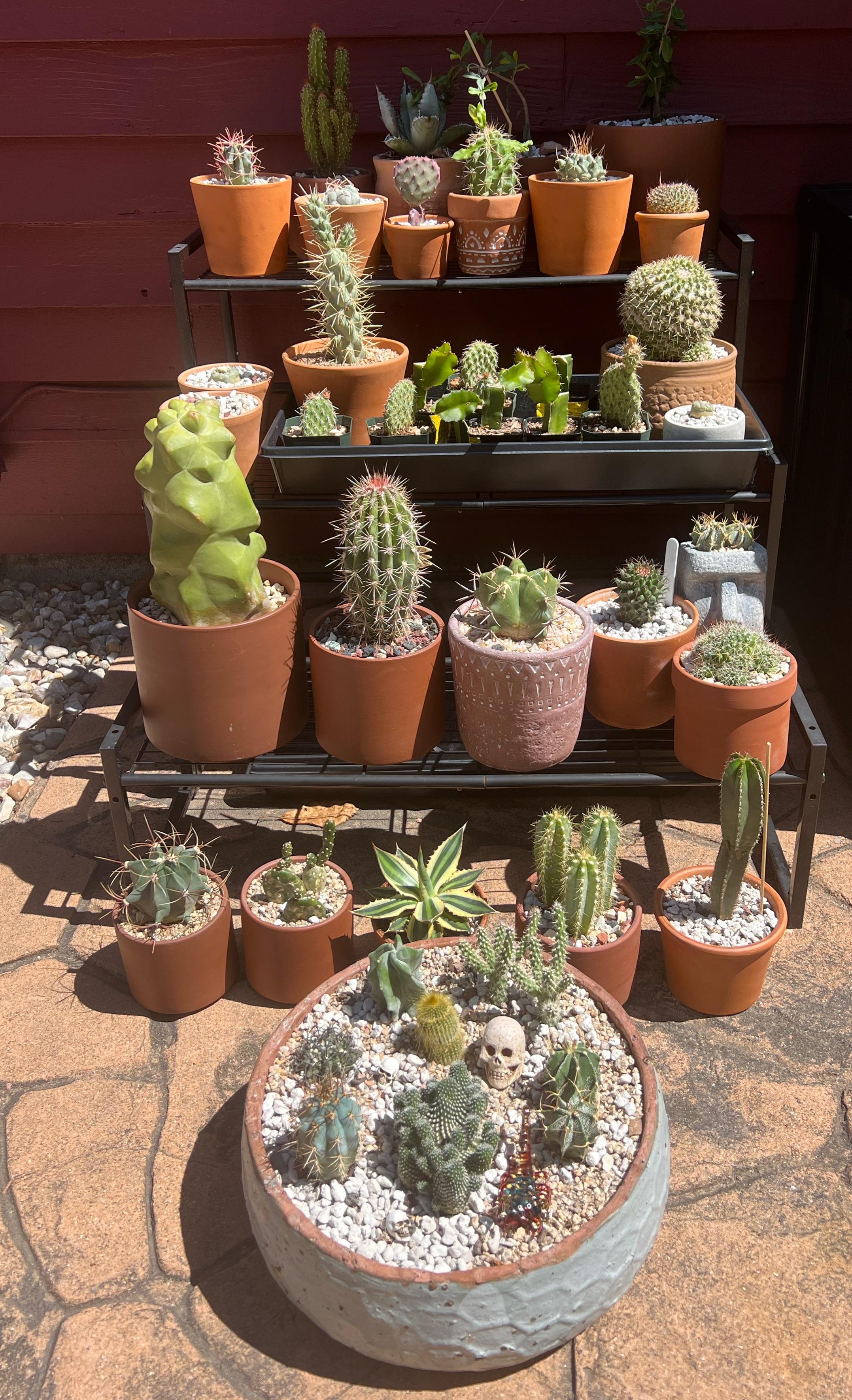 Summer hard growing | Scrolller