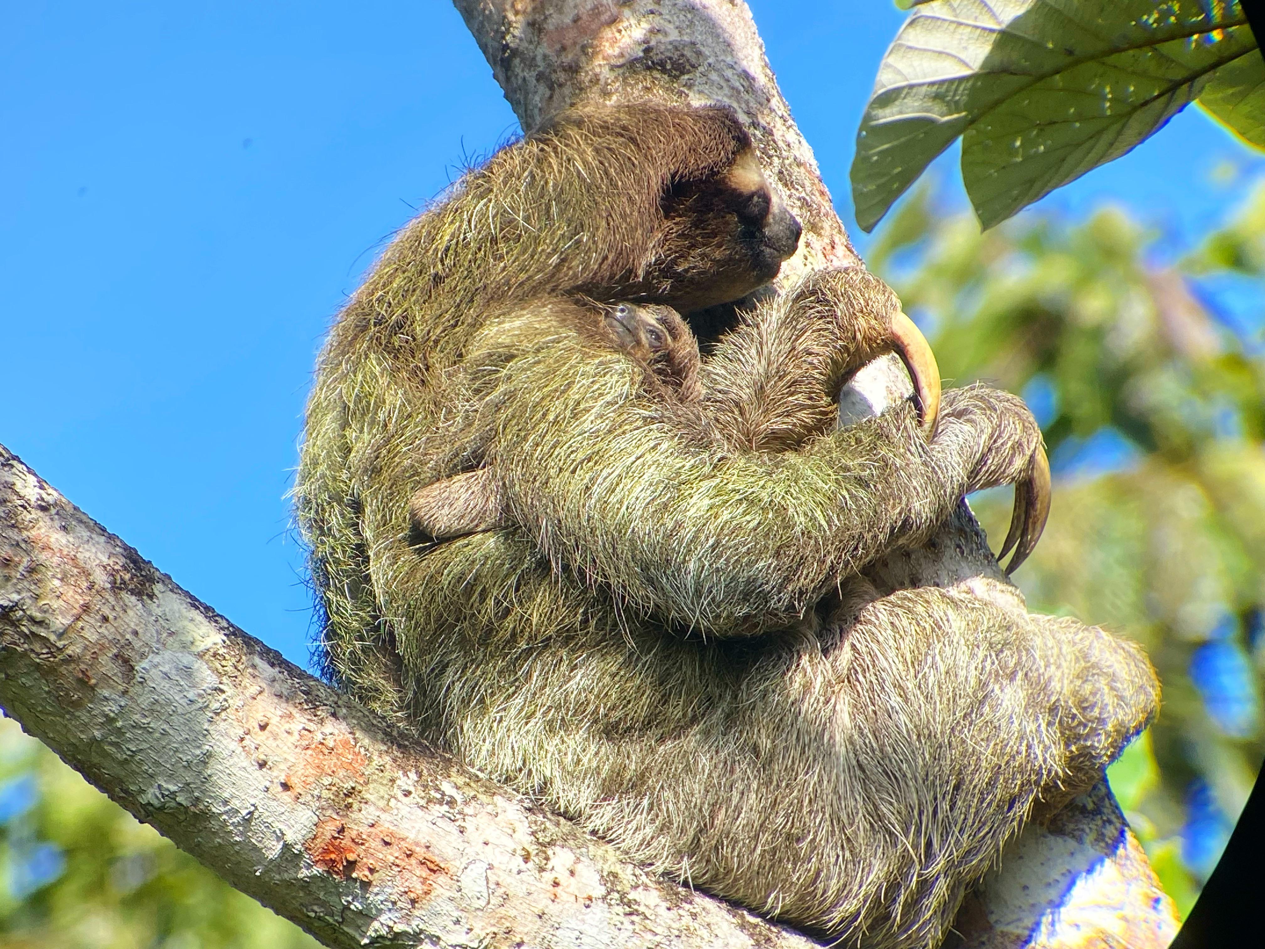Pipeline Road in Panama | Scrolller