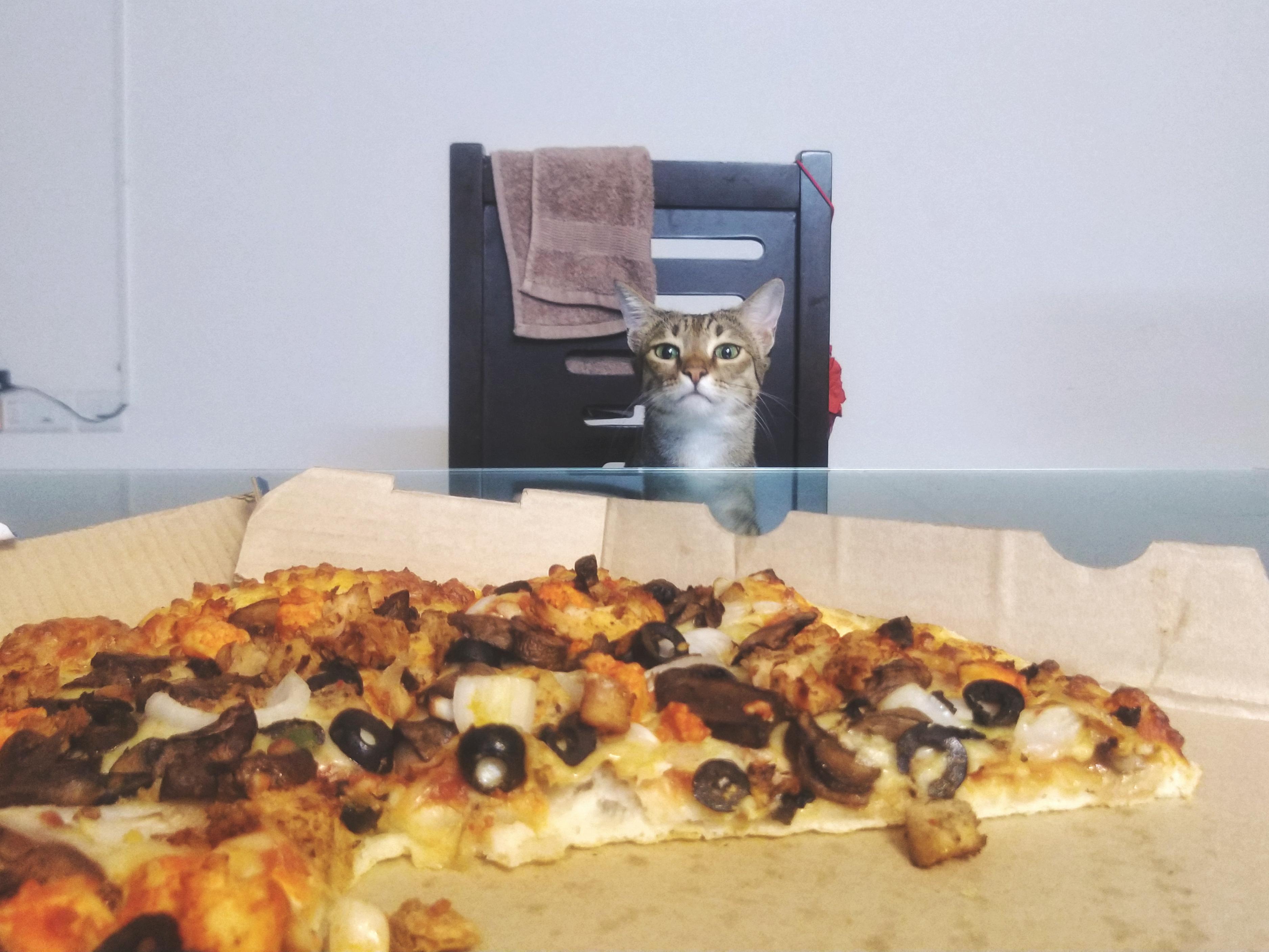 Pizza time featuring Toni | Scrolller