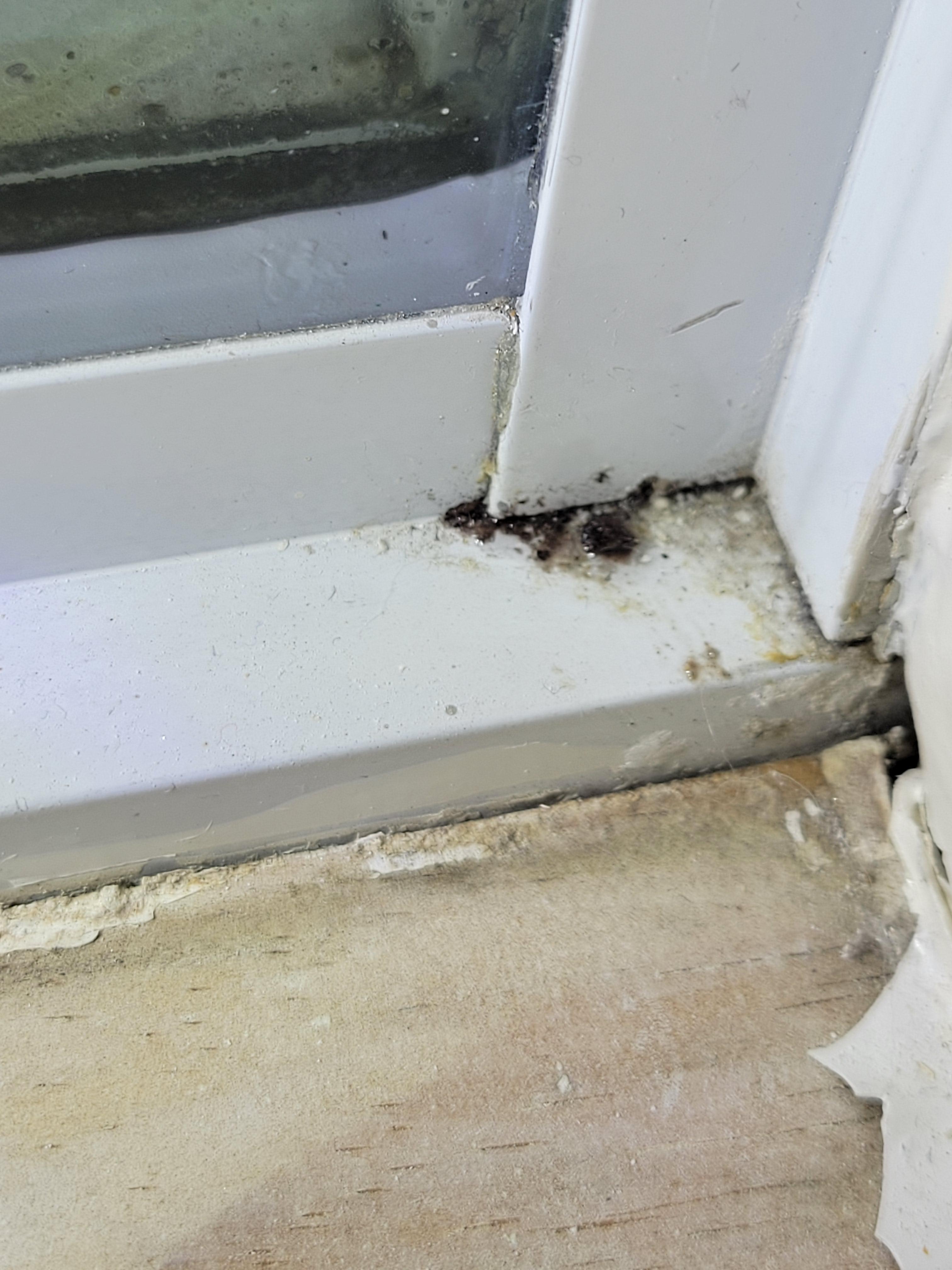 Stucco window flashing repair/continual water intrusion | Scrolller