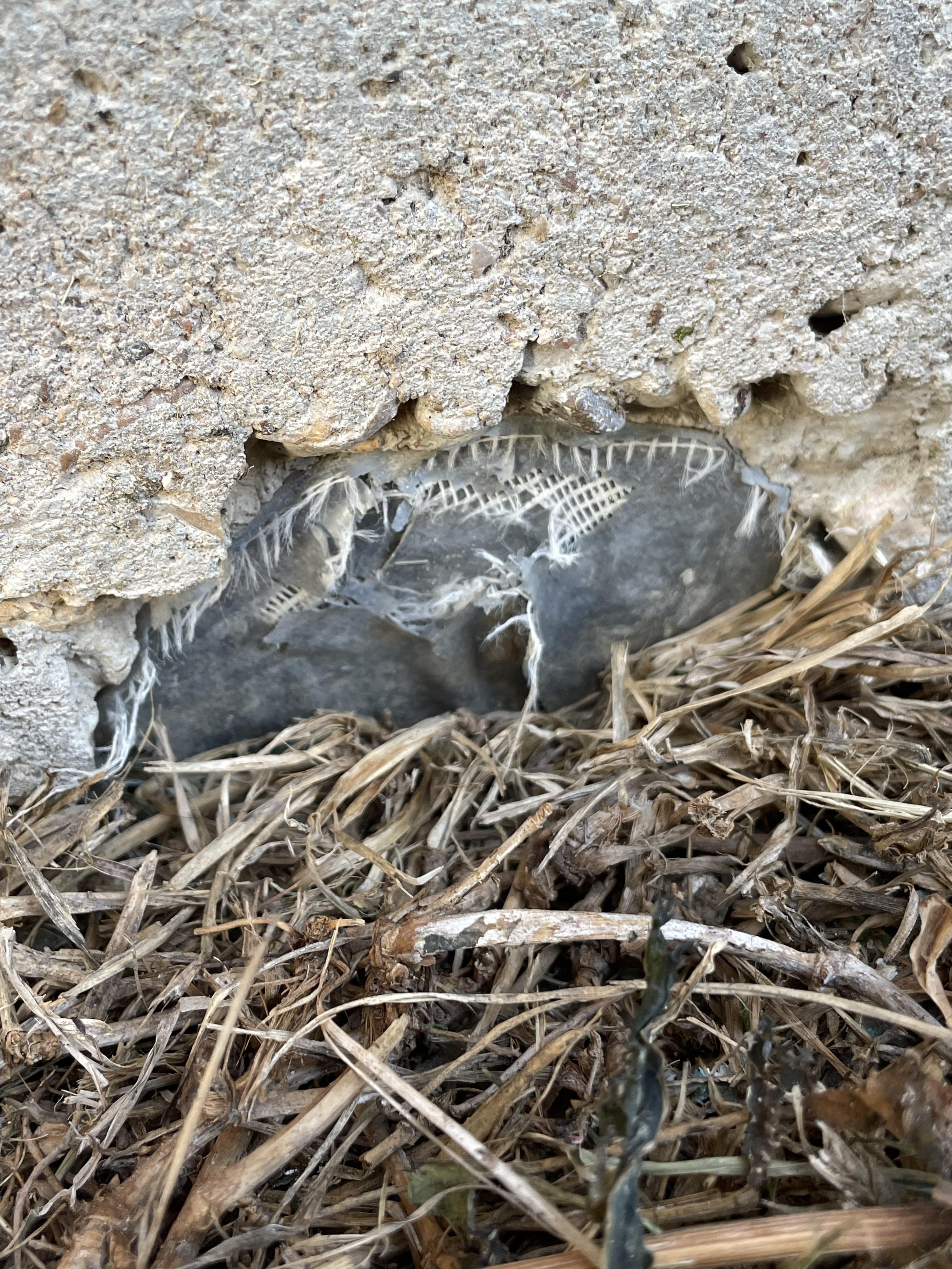 Foundation issue? Why would they use this material ? | Scrolller