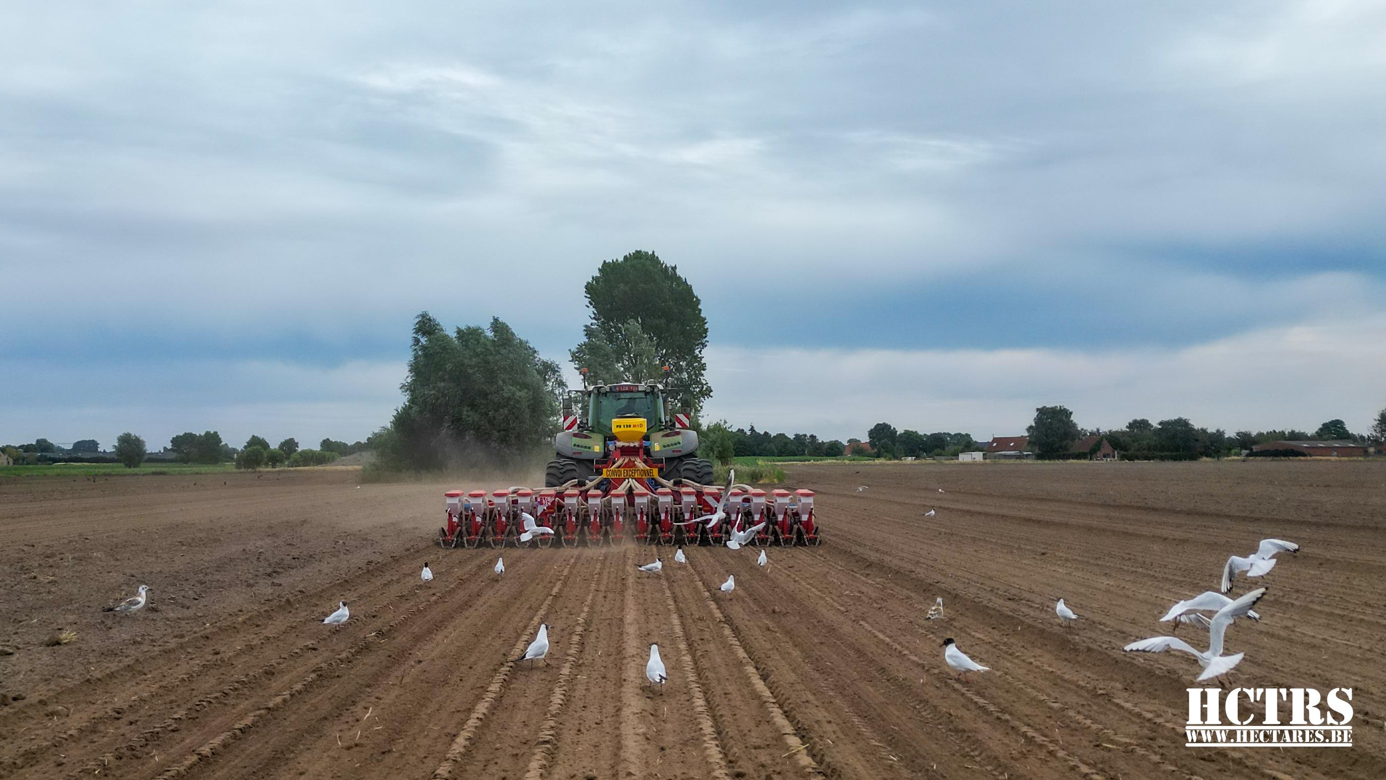 Planting beans | Scrolller