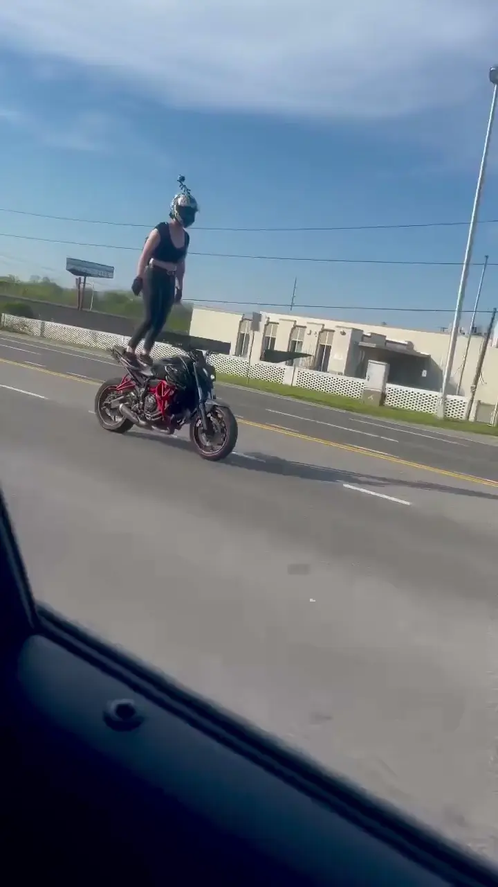 Please don’t feed the squids | Scrolller