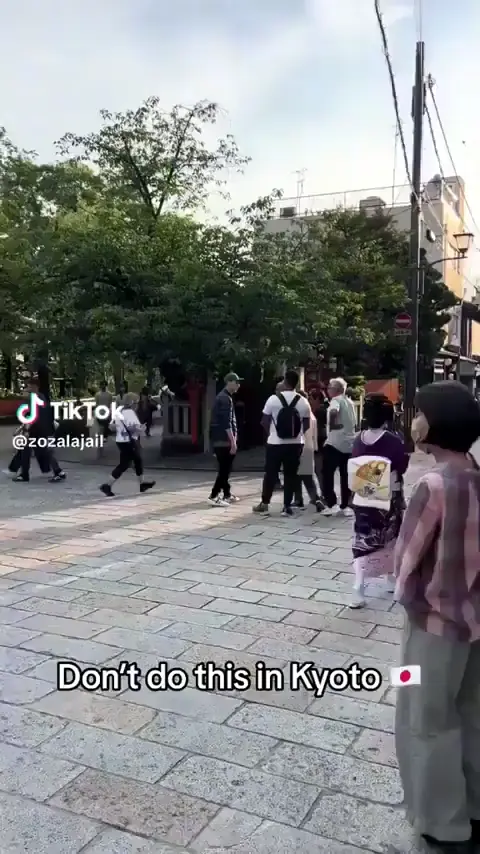 Please geisha stop! | Scrolller