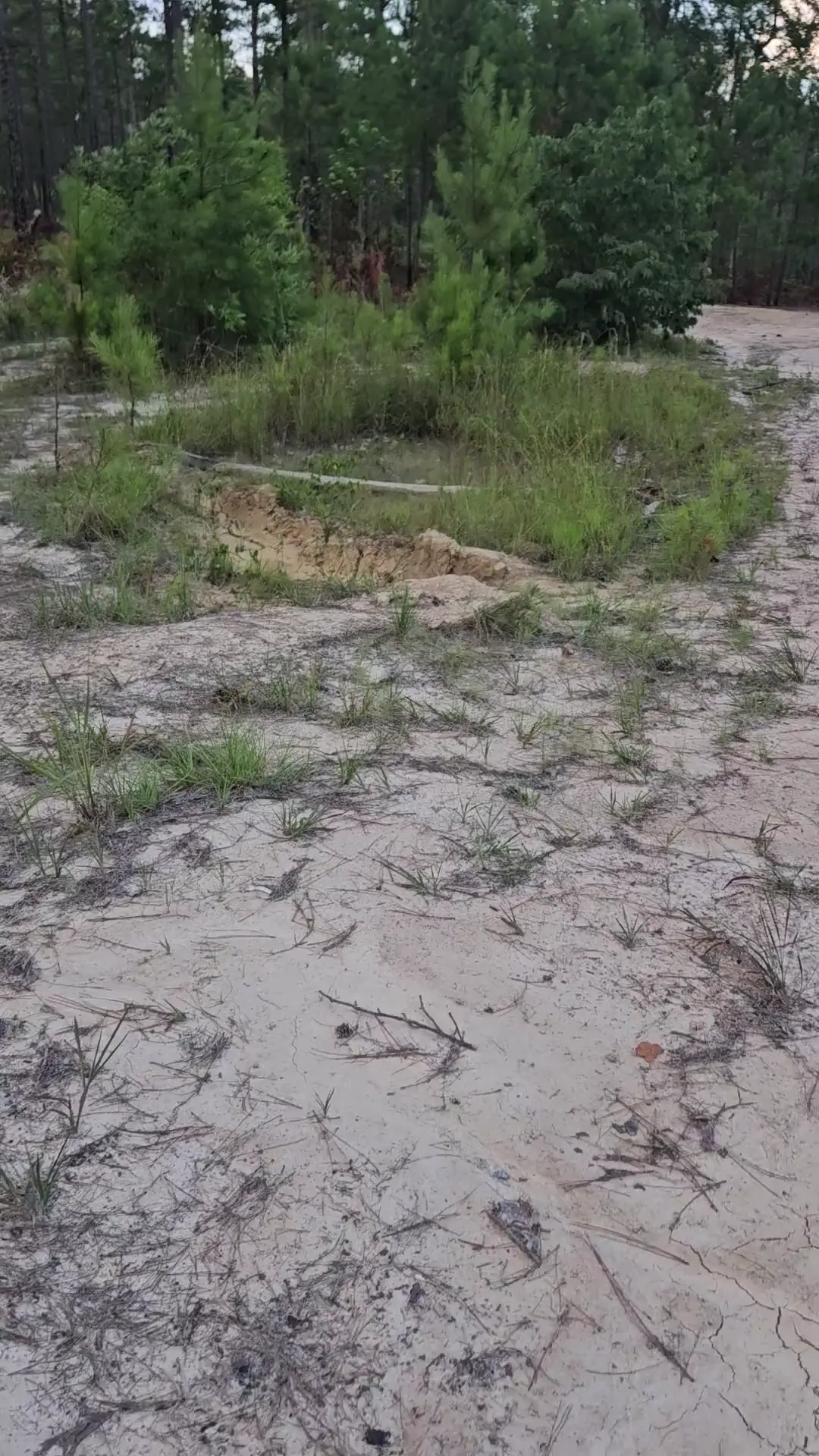 Please stop going in blind | Scrolller