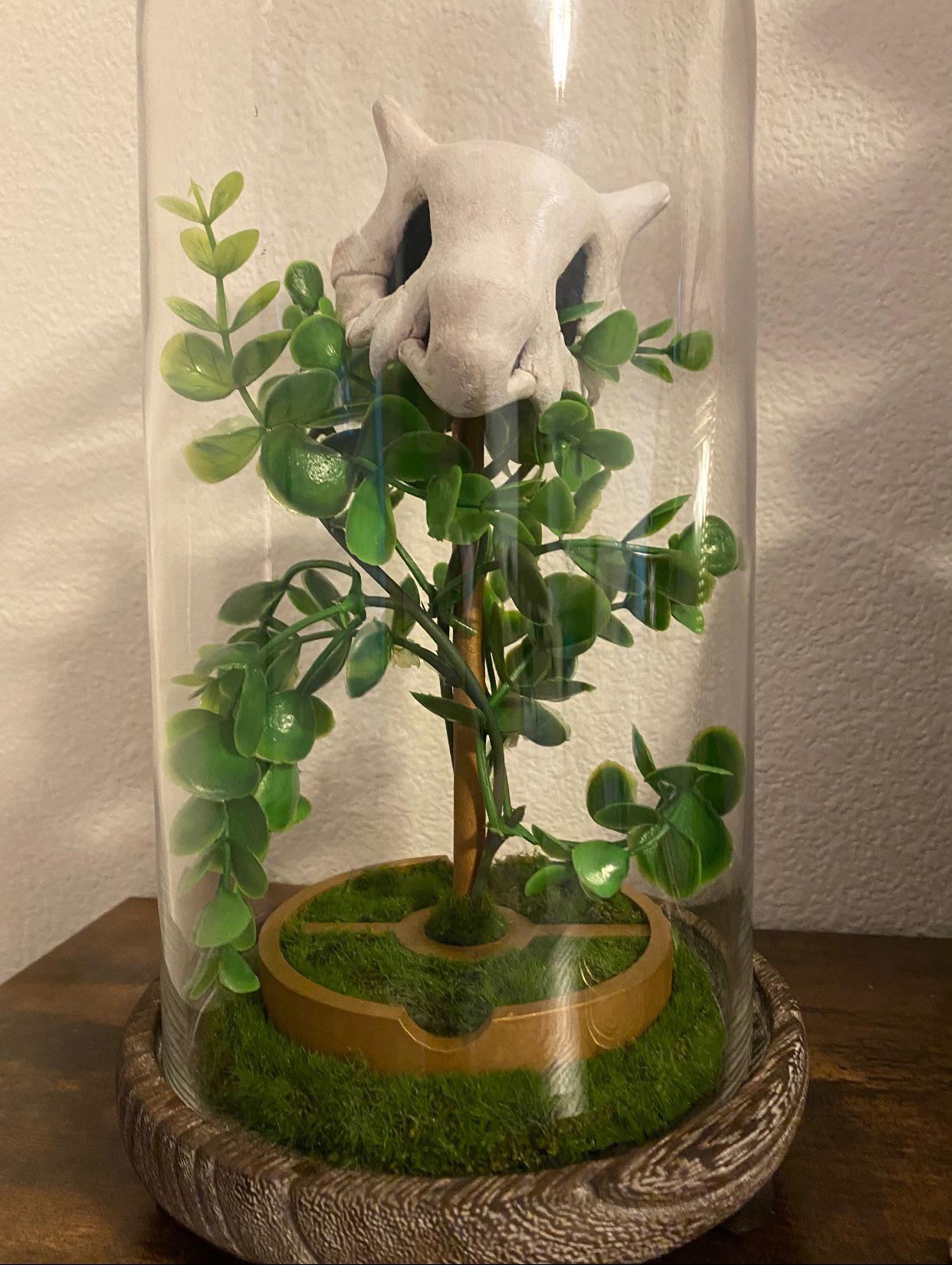 “Marowak’s final resting place”Cubone skull terrarium [OC] | Scrolller