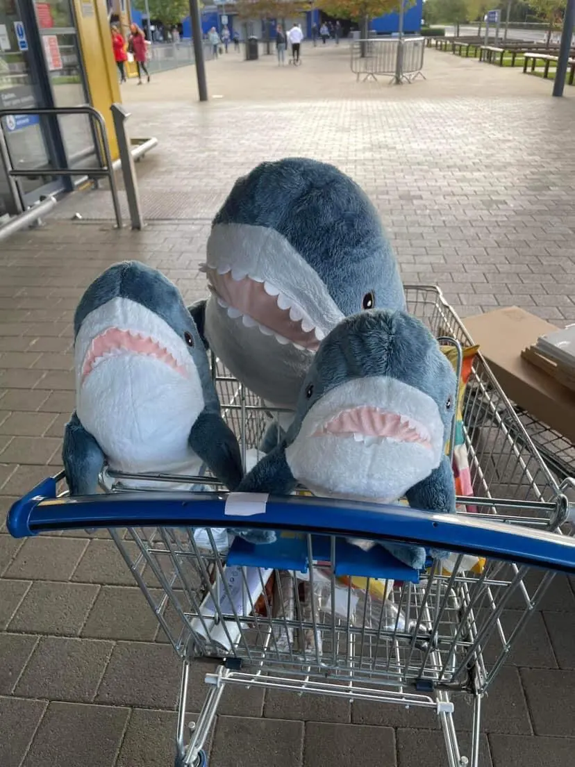 Plushie hyper-fixation flex | Scrolller