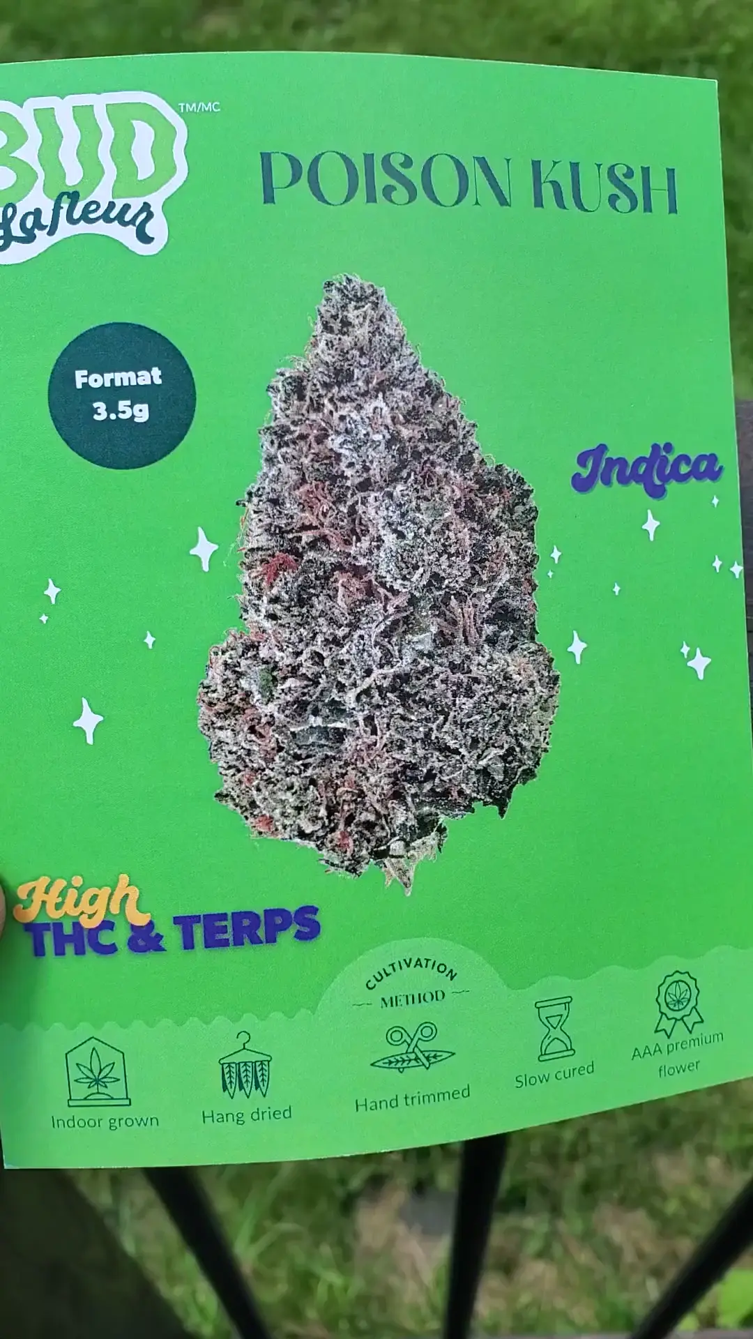 Poison Kush | Scrolller