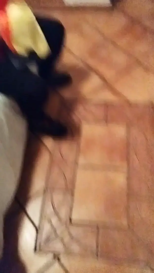 Pokemon + Dragon ball + mi abuela española que más se puede pedir🥵 | Scrolller