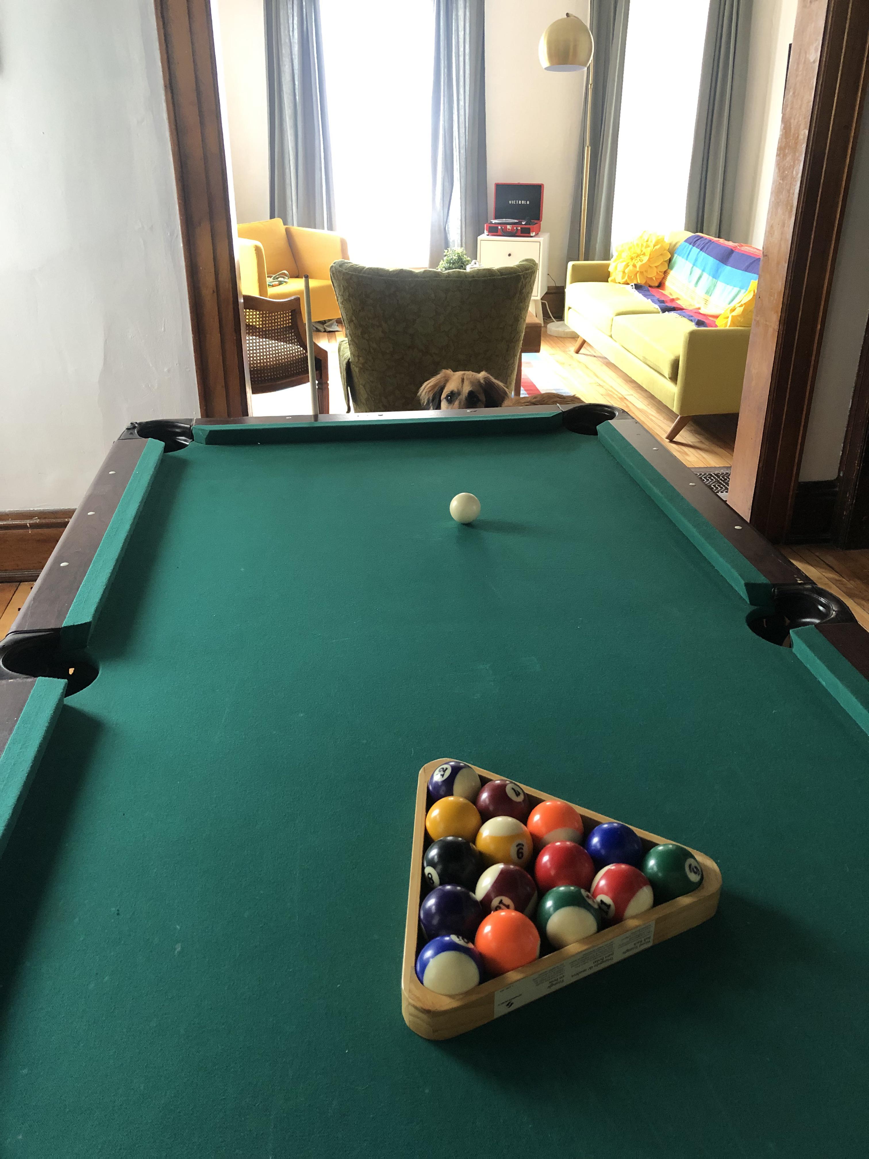 Pool Peep | Scrolller