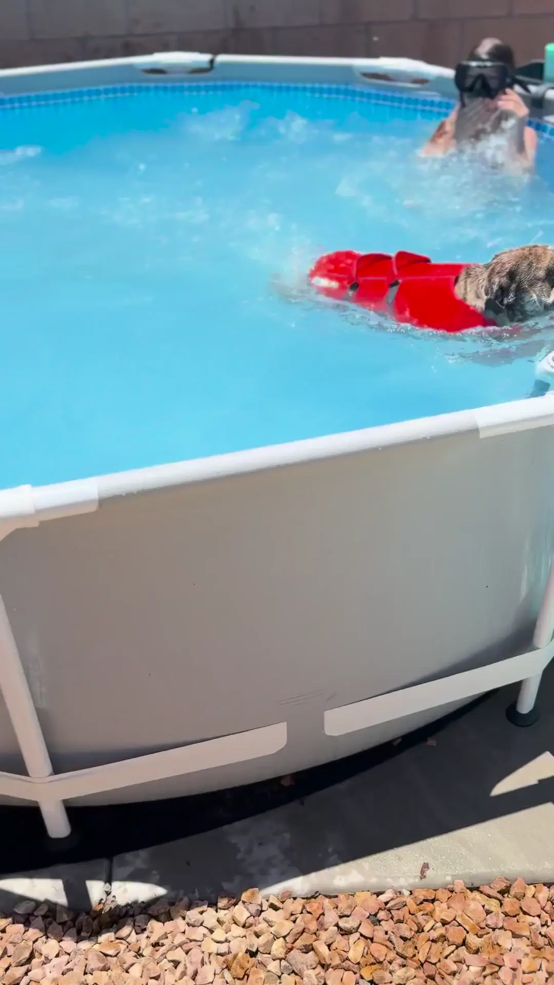 Pool Time!! | Scrolller