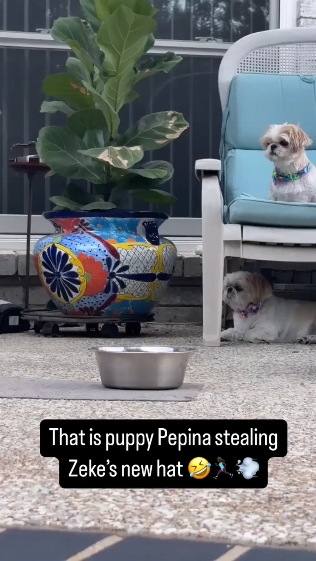 Poolside shenanigans | Scrolller