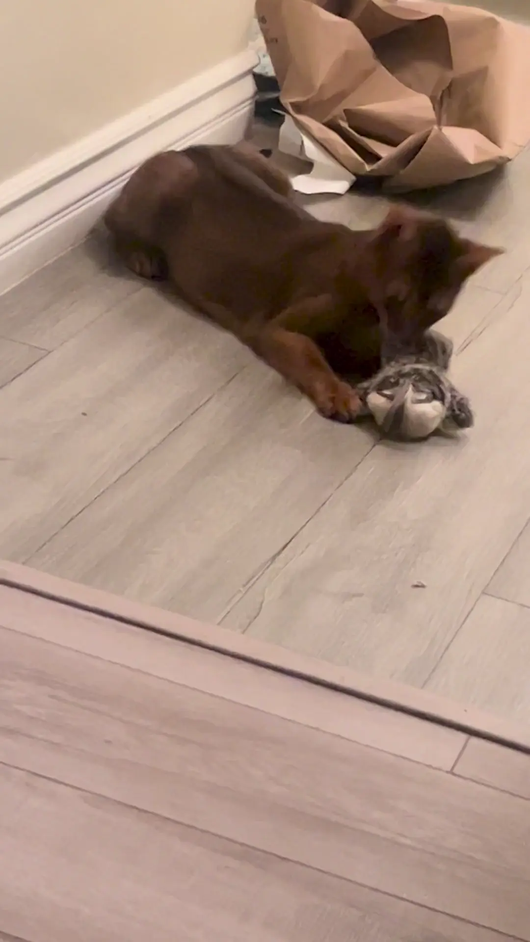 Poor guy | Scrolller