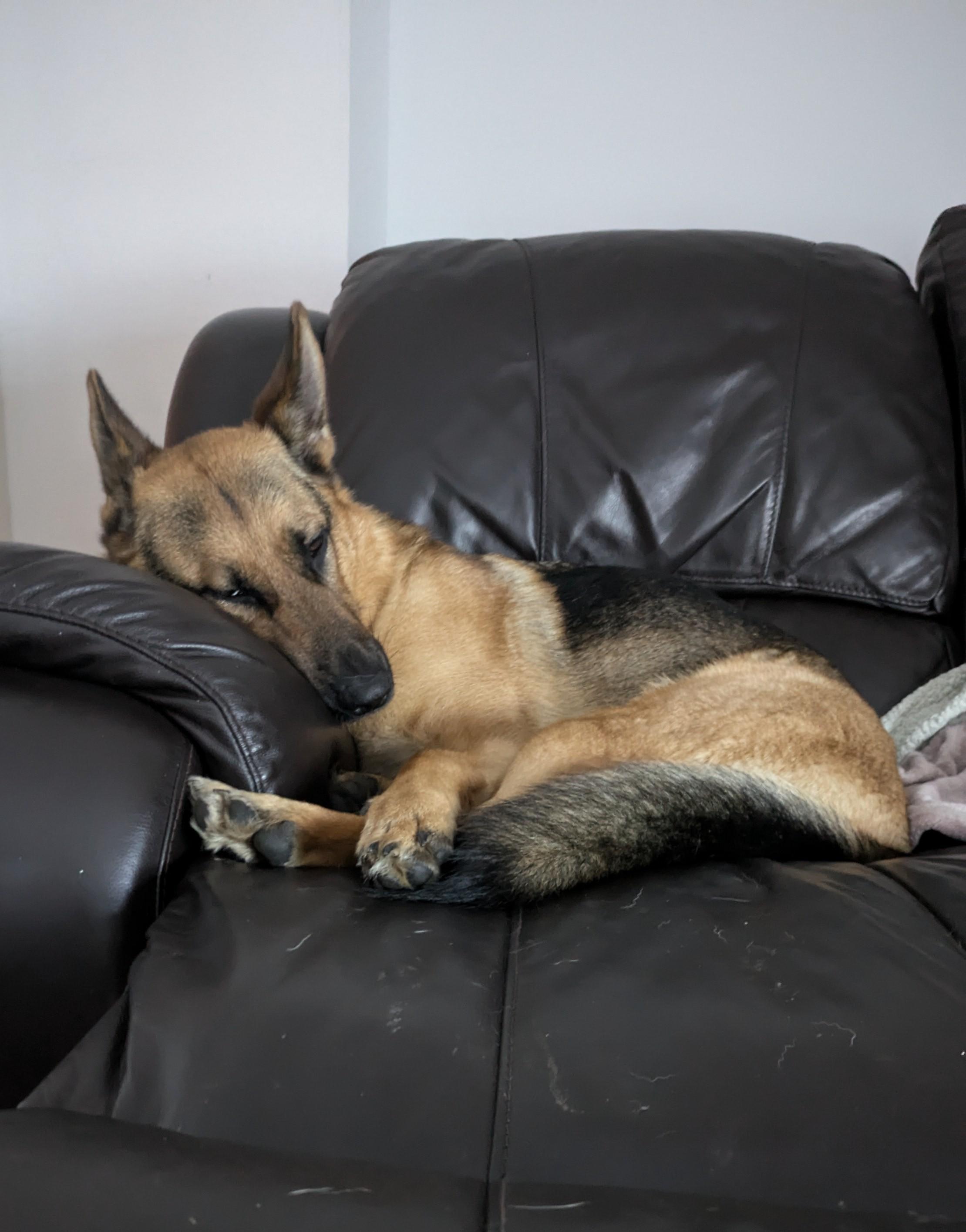 Post Christmas hangover | Scrolller