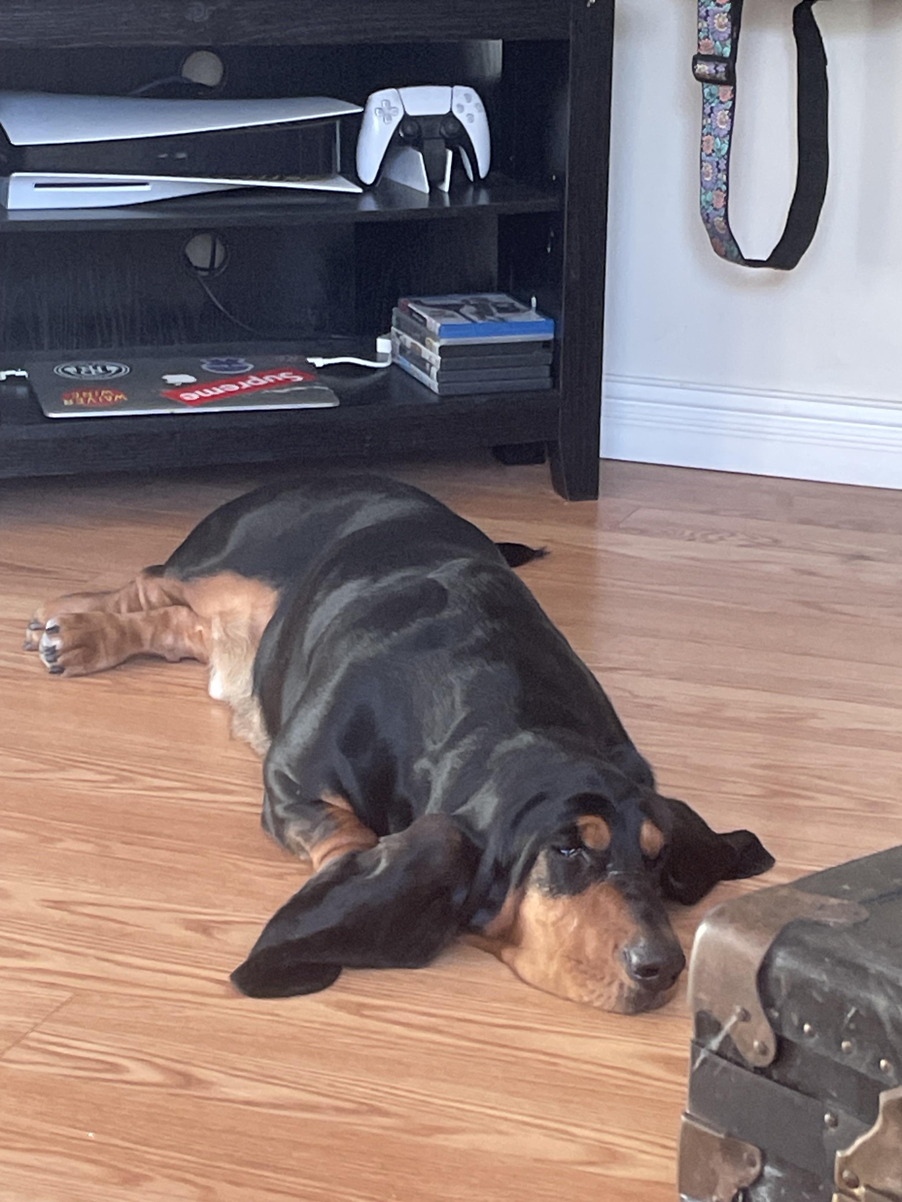 Post walk | Scrolller