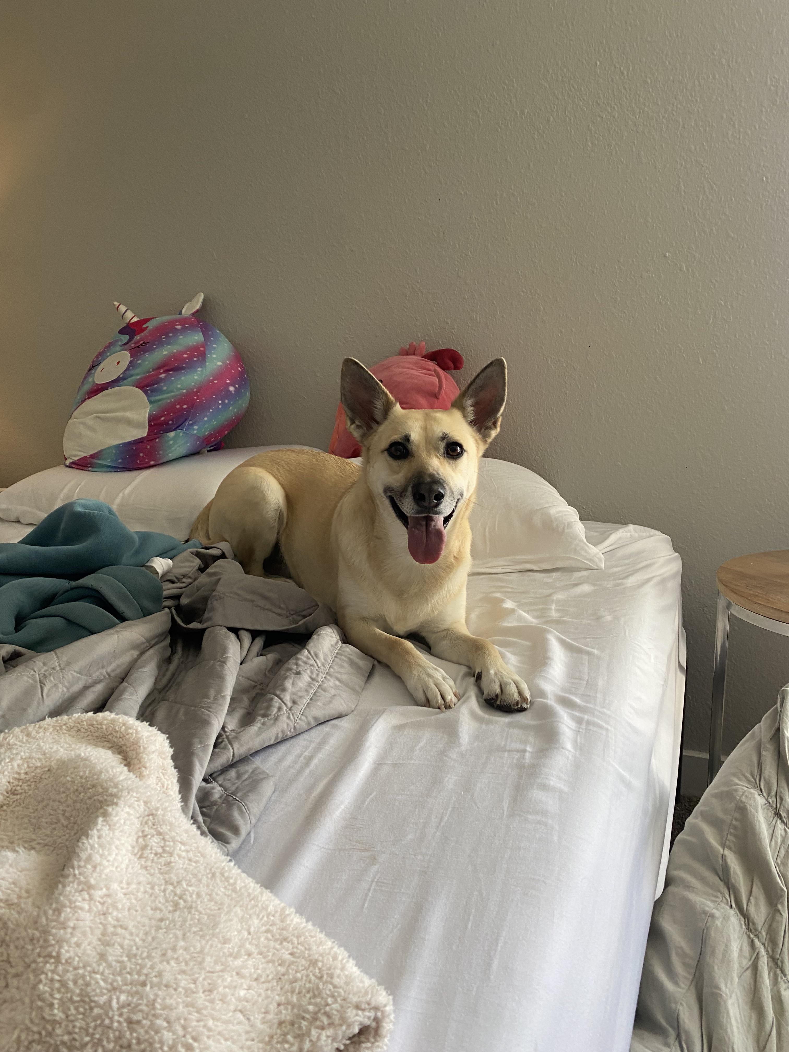 Post Walk Smiley Face | Scrolller