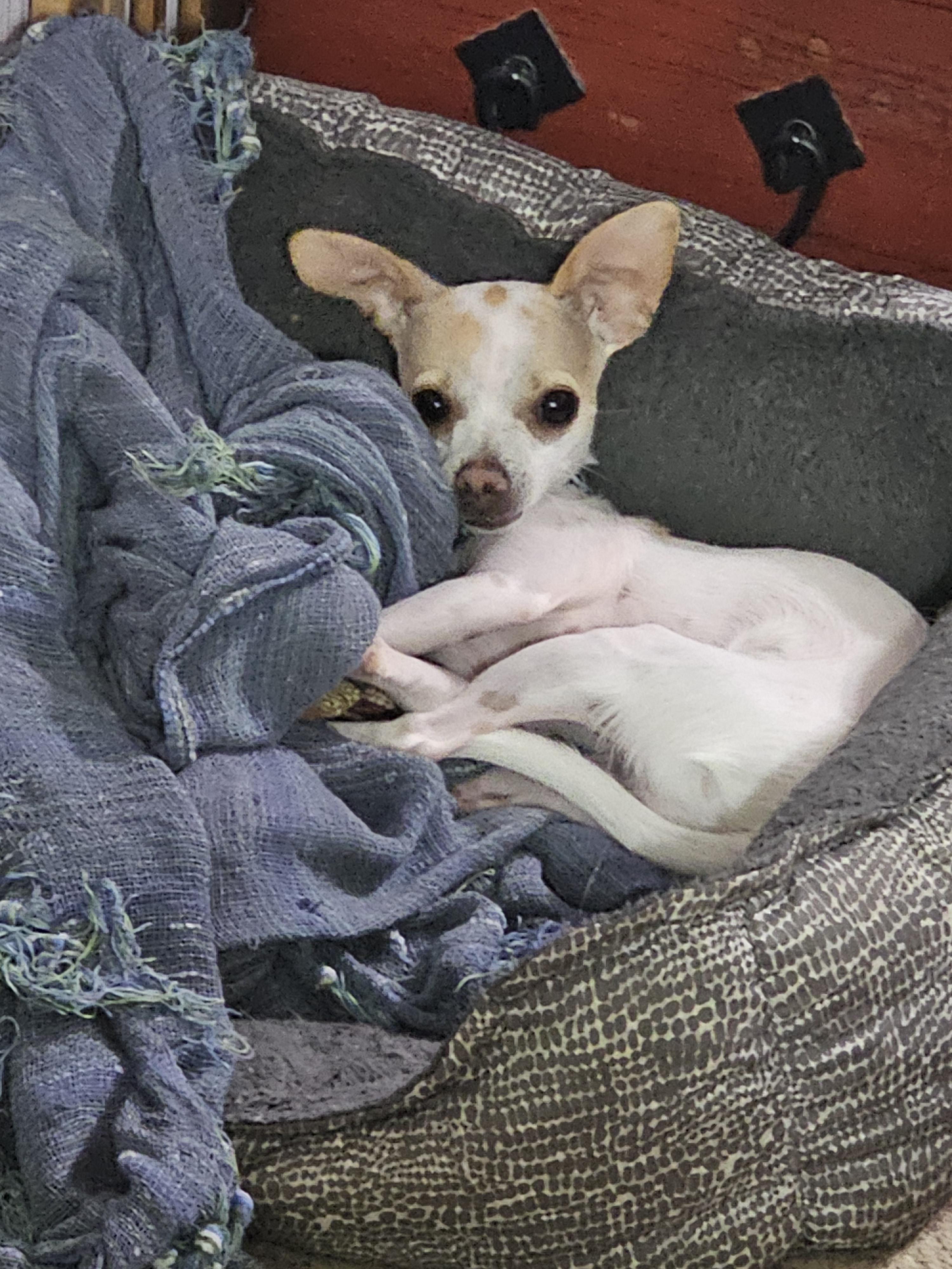 Potty training regression questions | Scrolller