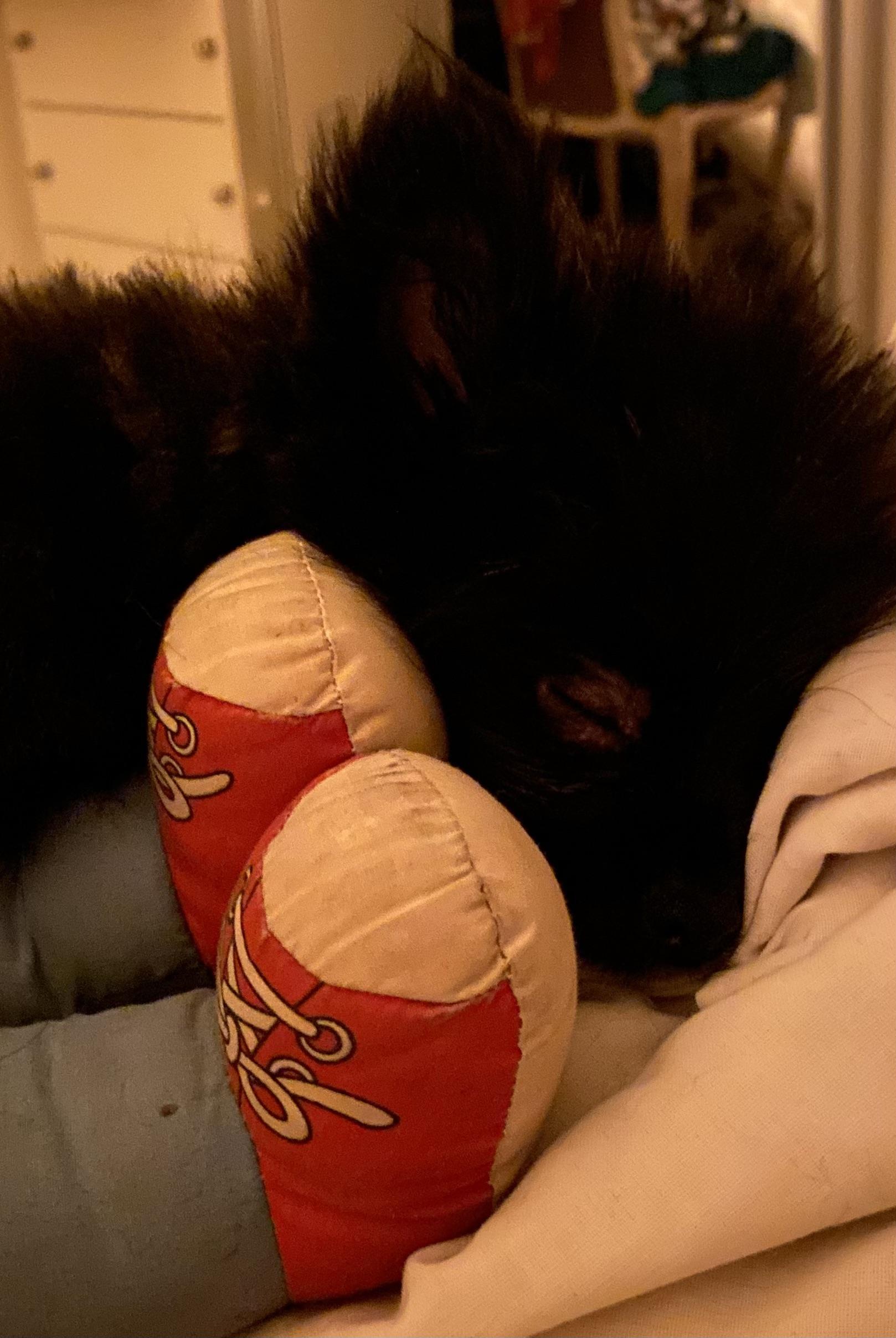 Ponyo zzz | Scrolller