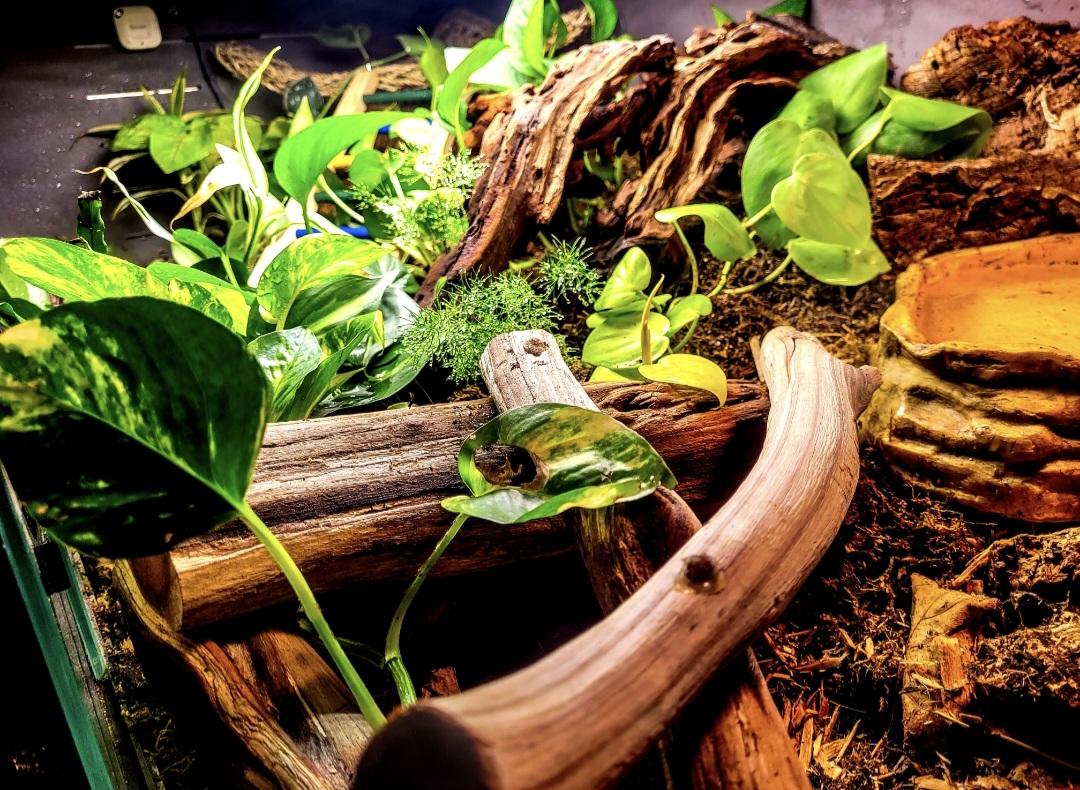 Enclosure | Scrolller