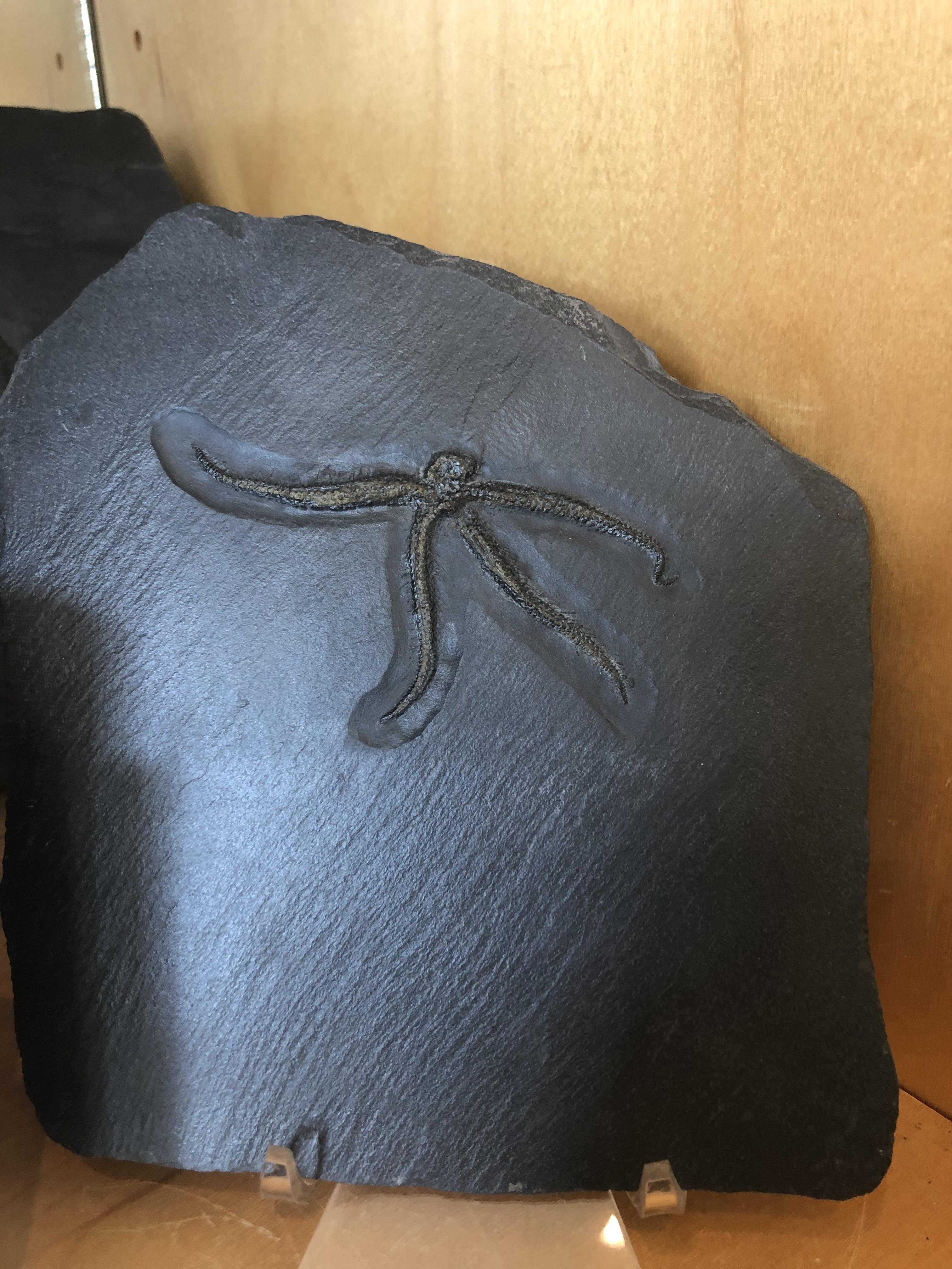 Primordial walkin' | Scrolller