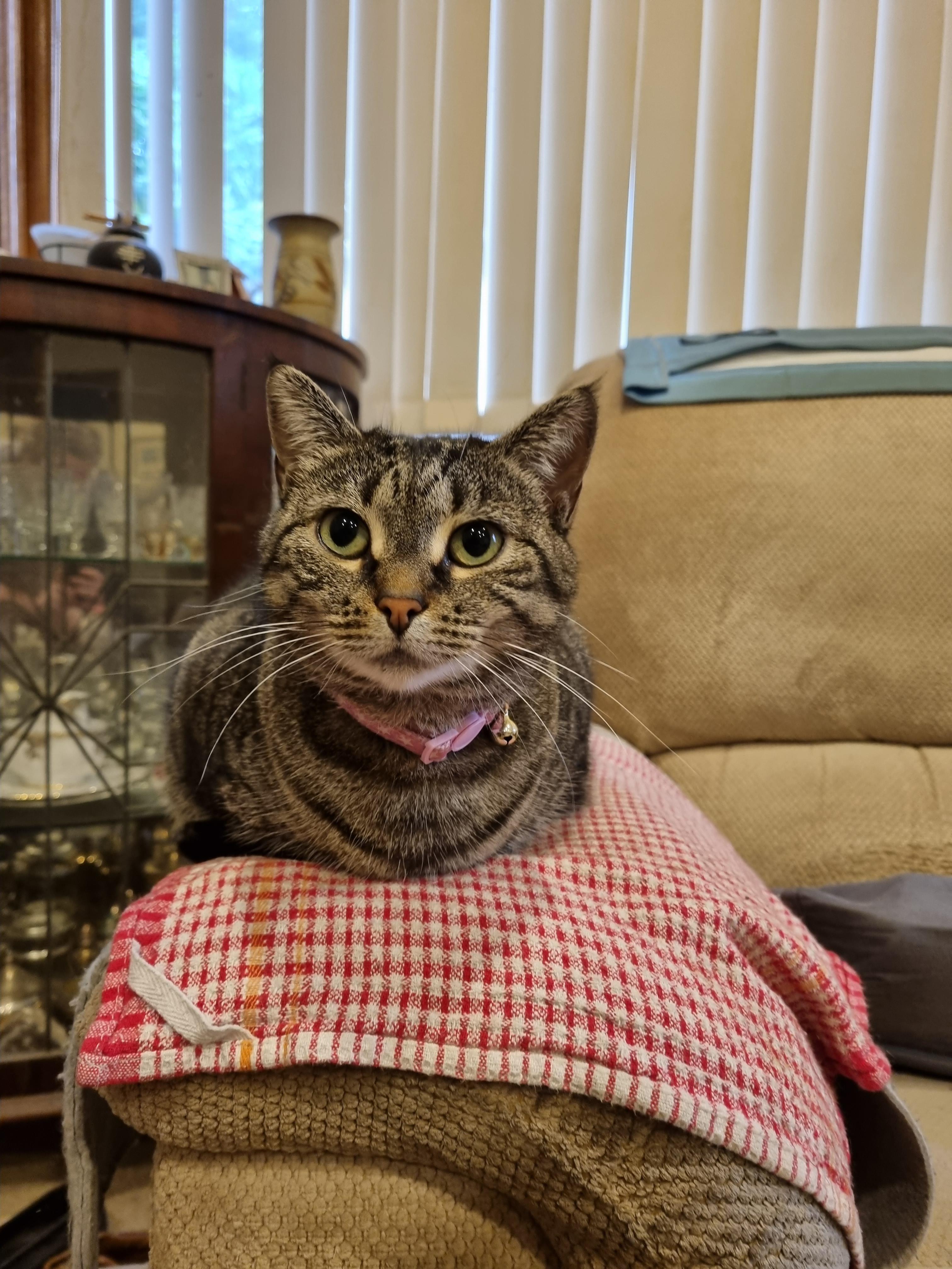 Princess Loaf | Scrolller