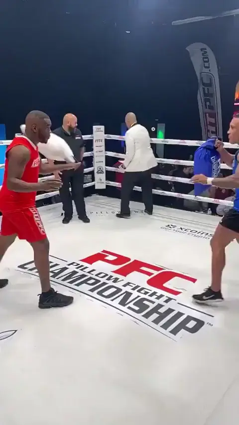 Professional Pillow Fighting | Scrolller