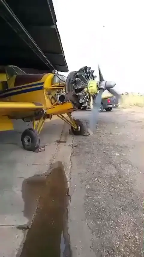 Propeller Madness | Scrolller