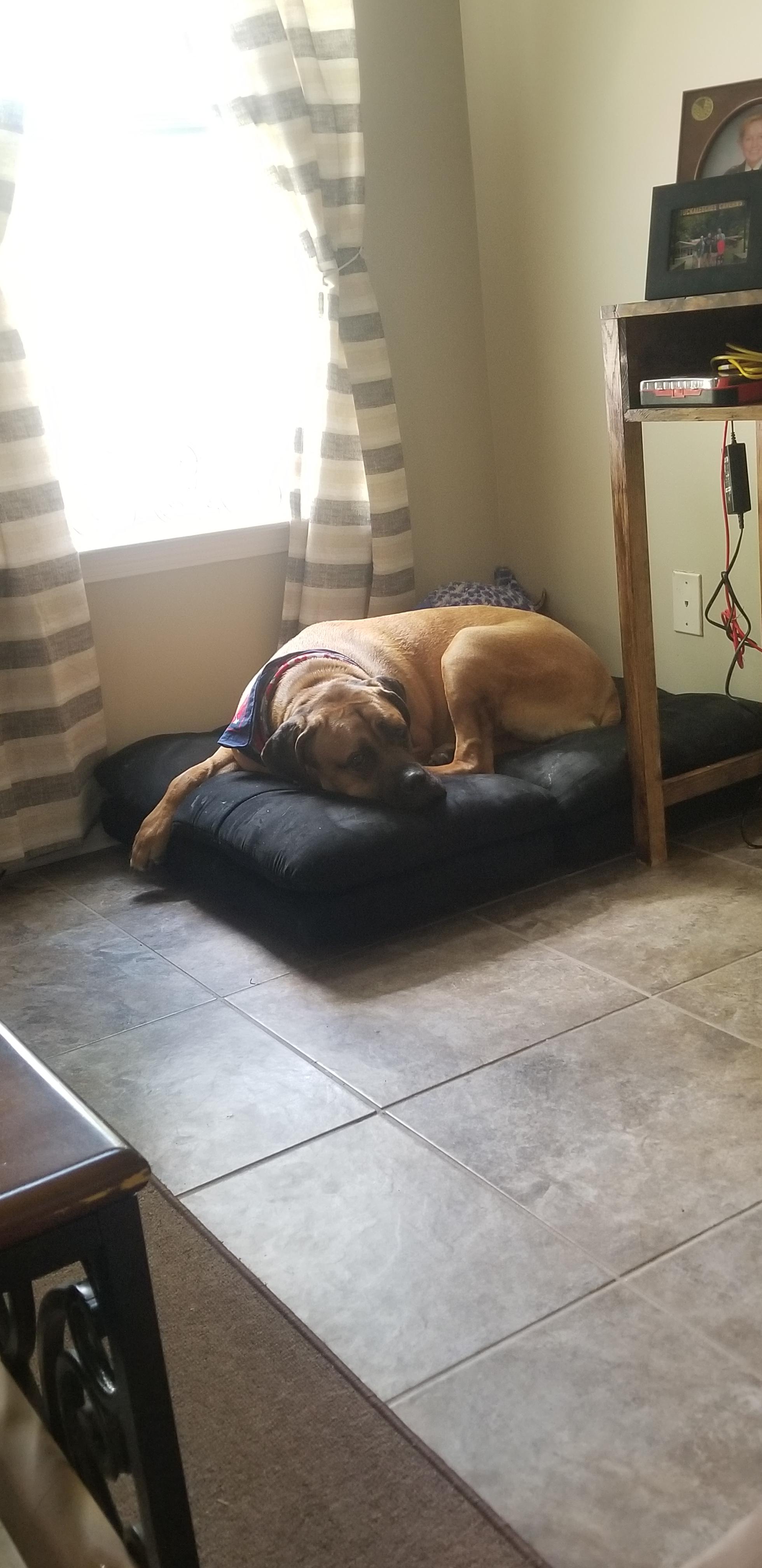 PROtip | Pictures | Scrolller