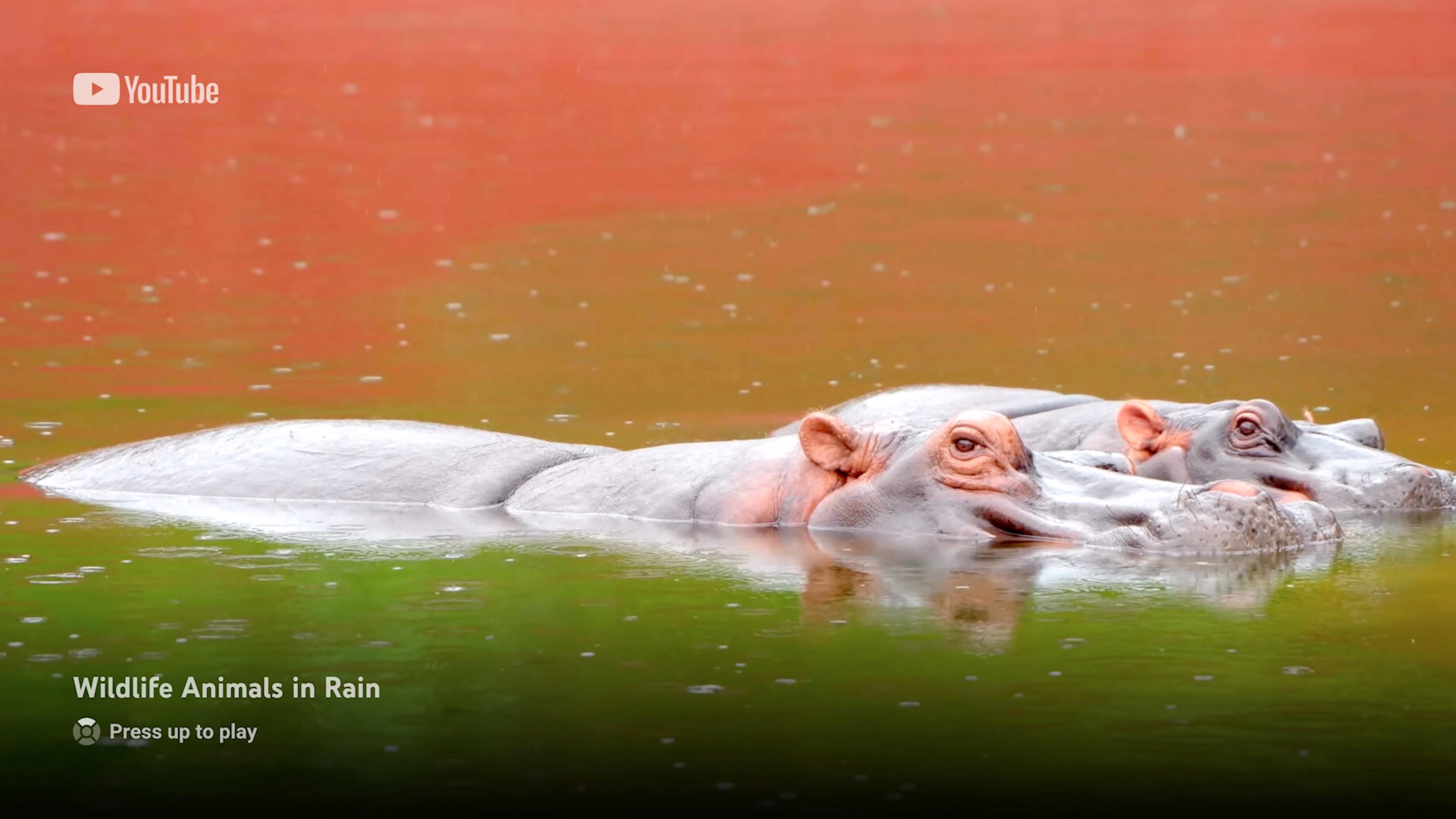 PSA: To override and turn off the new YouTube Screensaver, set the Apple TV Aerial Screensavers ...